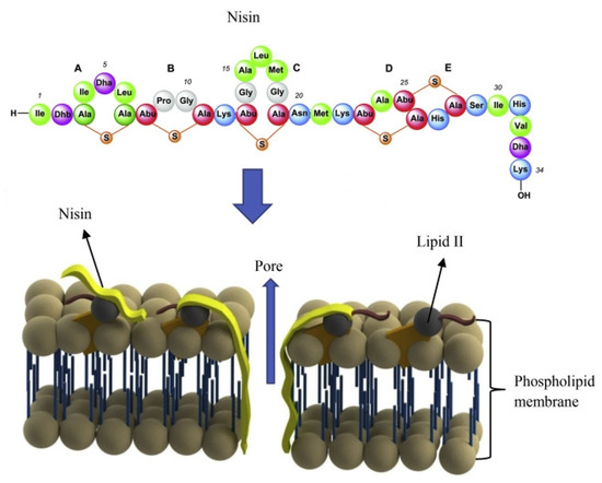 Antimicrobial Active Packaging Containing Nisin for Preservation of ...
