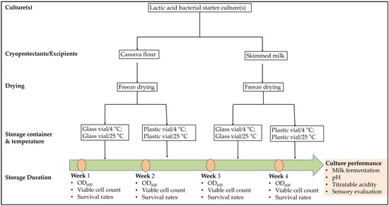 A Comparative Study of Skimmed Milk and Cassava Flour on the Viability ...