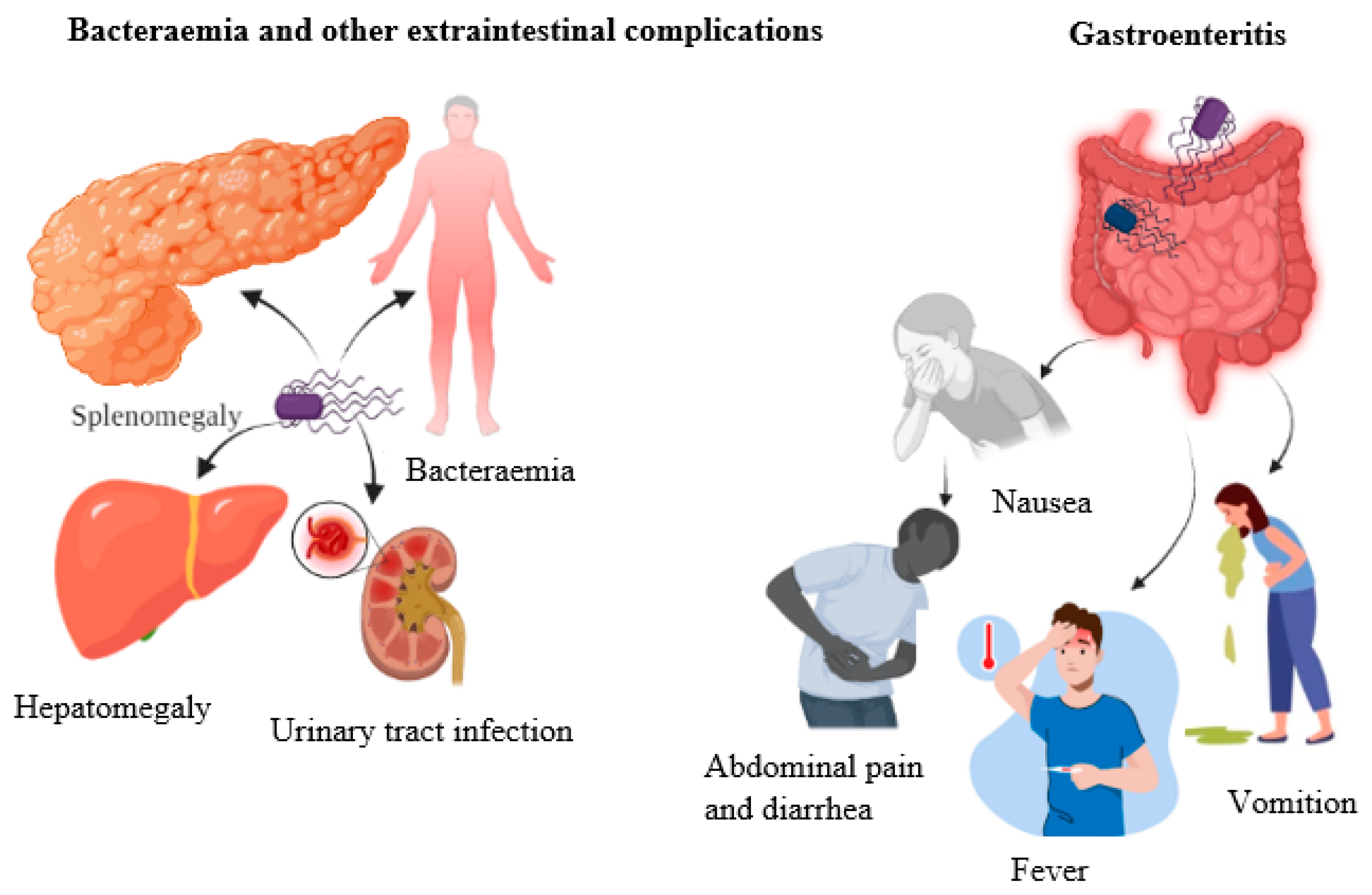 Human Salmonellosis A Continuous Global Threat In The Farm to Fork Human Salmonellosis A Continuous Global Threat In The Farm to Fork