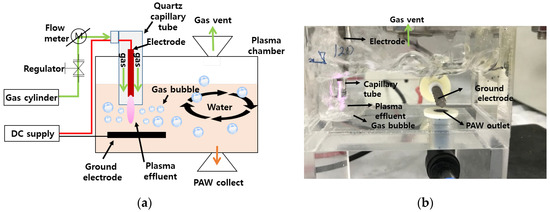 Effects of Plasma-Activated Water Treatment on the Inactivation of ...