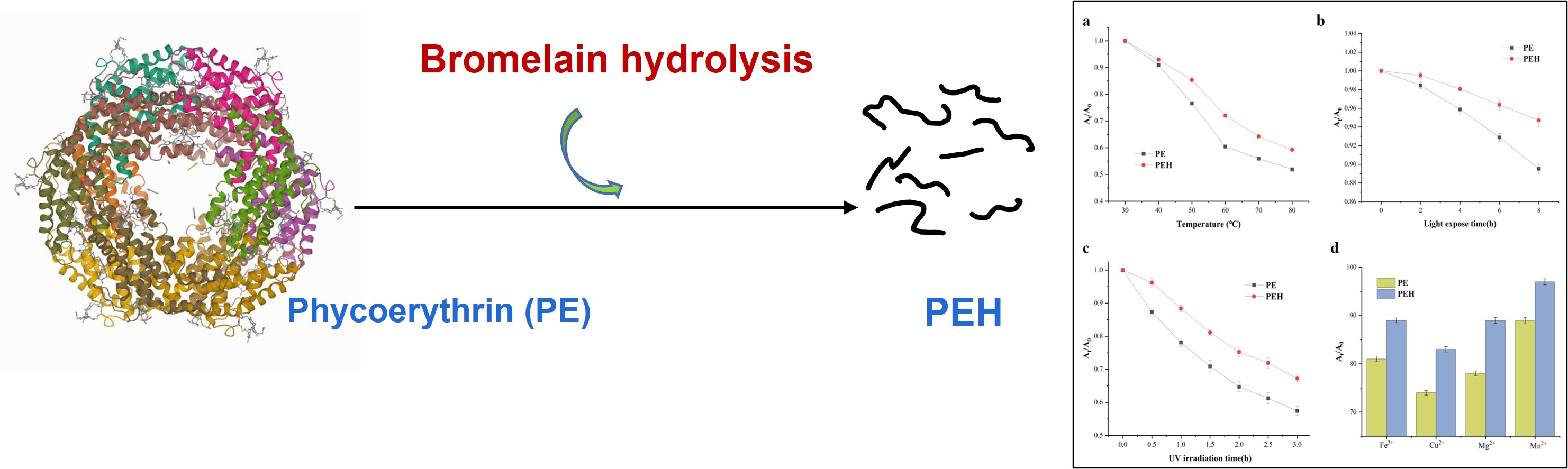The Hydrolysis Of Pigment Protein Phycoerythrin By Bromelain Enhances The Hydrolysis Of Pigment Protein Phycoerythrin By Bromelain Enhances