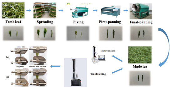 Study on the Variation Law of the Main Mechanical Properties in the ...