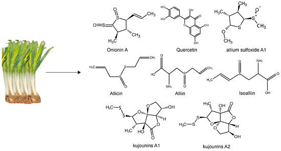 Functional Perspective of Leeks: Active Components, Health Benefits and ...