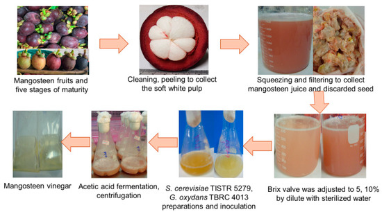 Optimized Acetic Acid Production by Mixed Culture of Saccharomyces ...