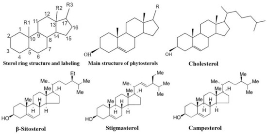 Phytosterols: Physiological Functions and Potential Application
