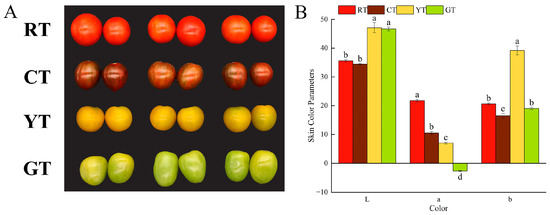 Fruit Quality Analysis and Flavor Comprehensive Evaluation of Cherry ...