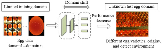 Robust Detection of Cracked Eggs Using a Multi-Domain Training Method ...