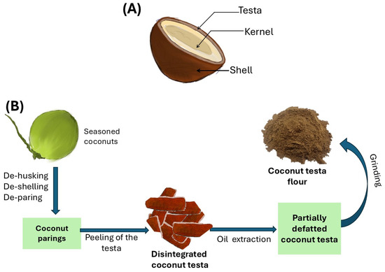 Coconut Testa Flour Sub-Fractions: Correlation Between FTIR Spectral ...