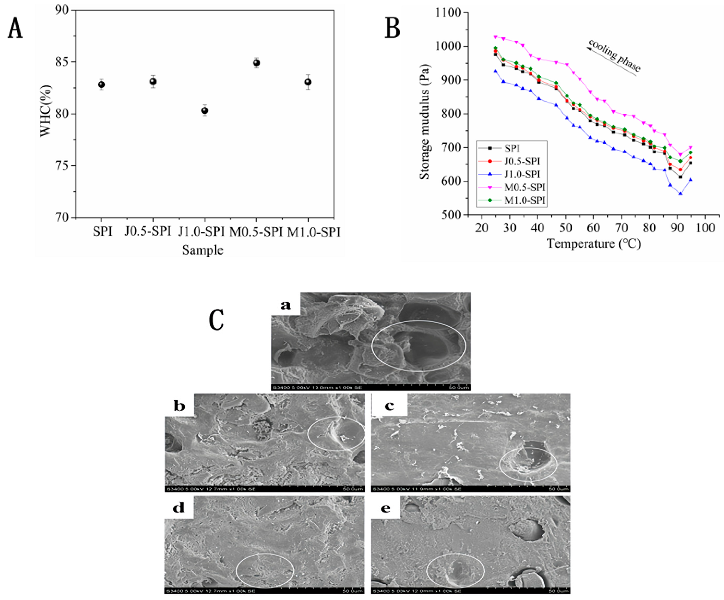 Effects of Selective Enzymatic Hydrolysis on Structural Properties and ...