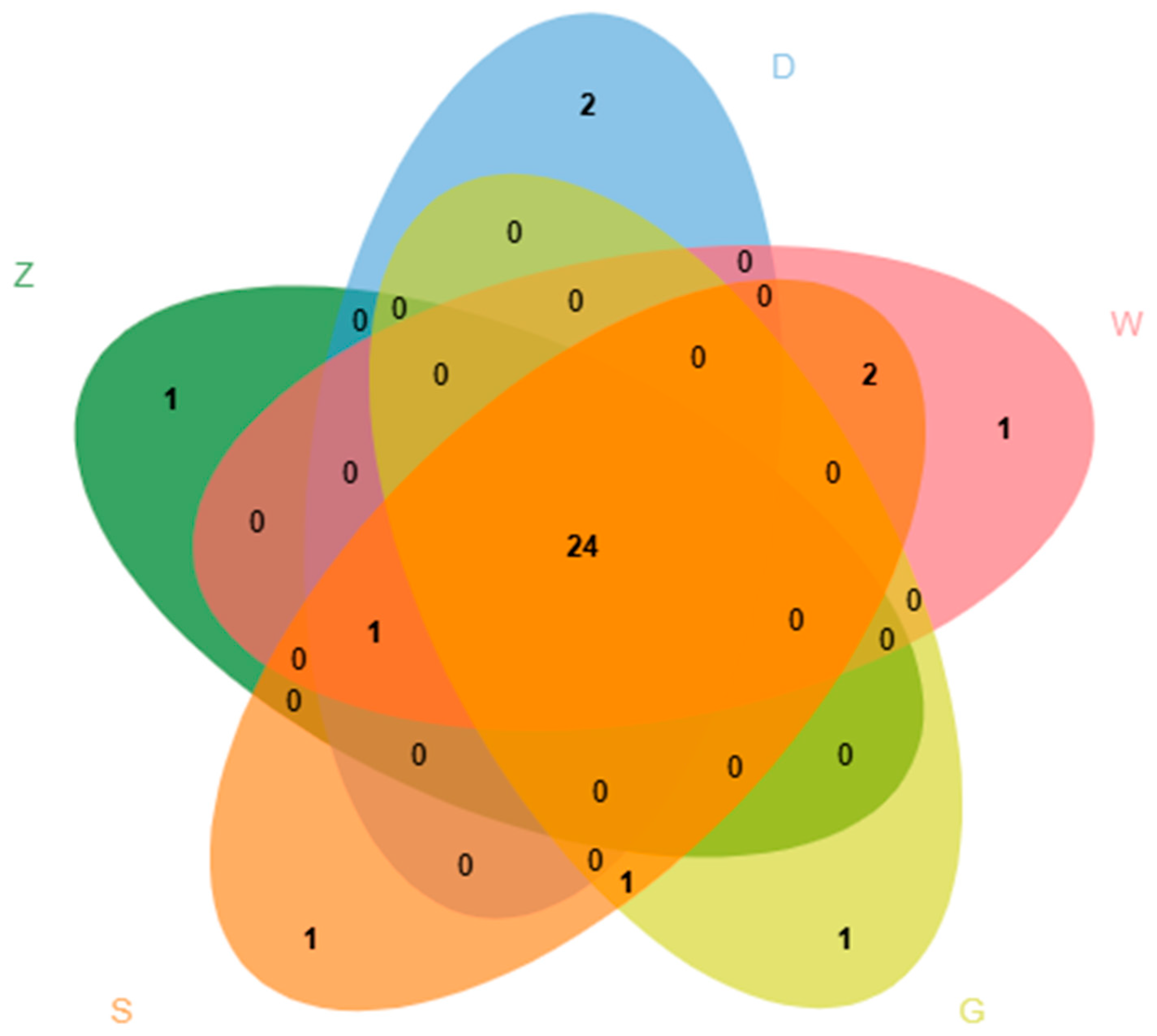 Revealing the Flavor Characteristics of Beiwudu Hulatang Using ...