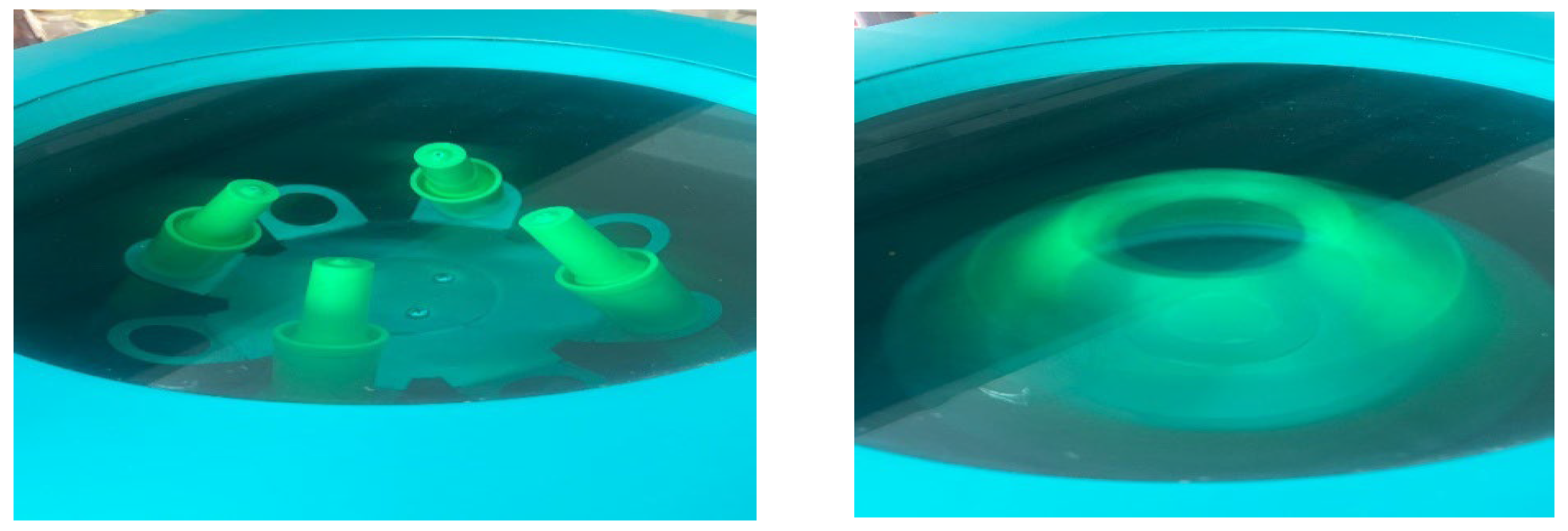 Development of a Complex Biologically Active Supplement for ...