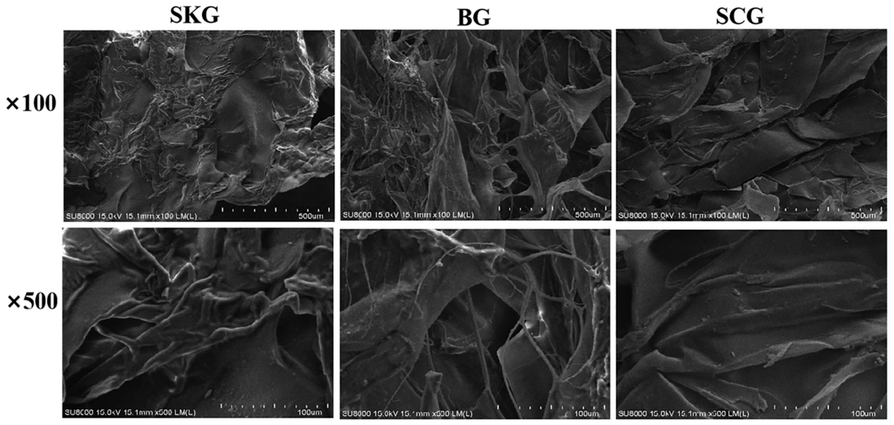 Structure and Functional Characteristics of Gelatin Extracted from Grass Carp (Ctenopharyngodon ...