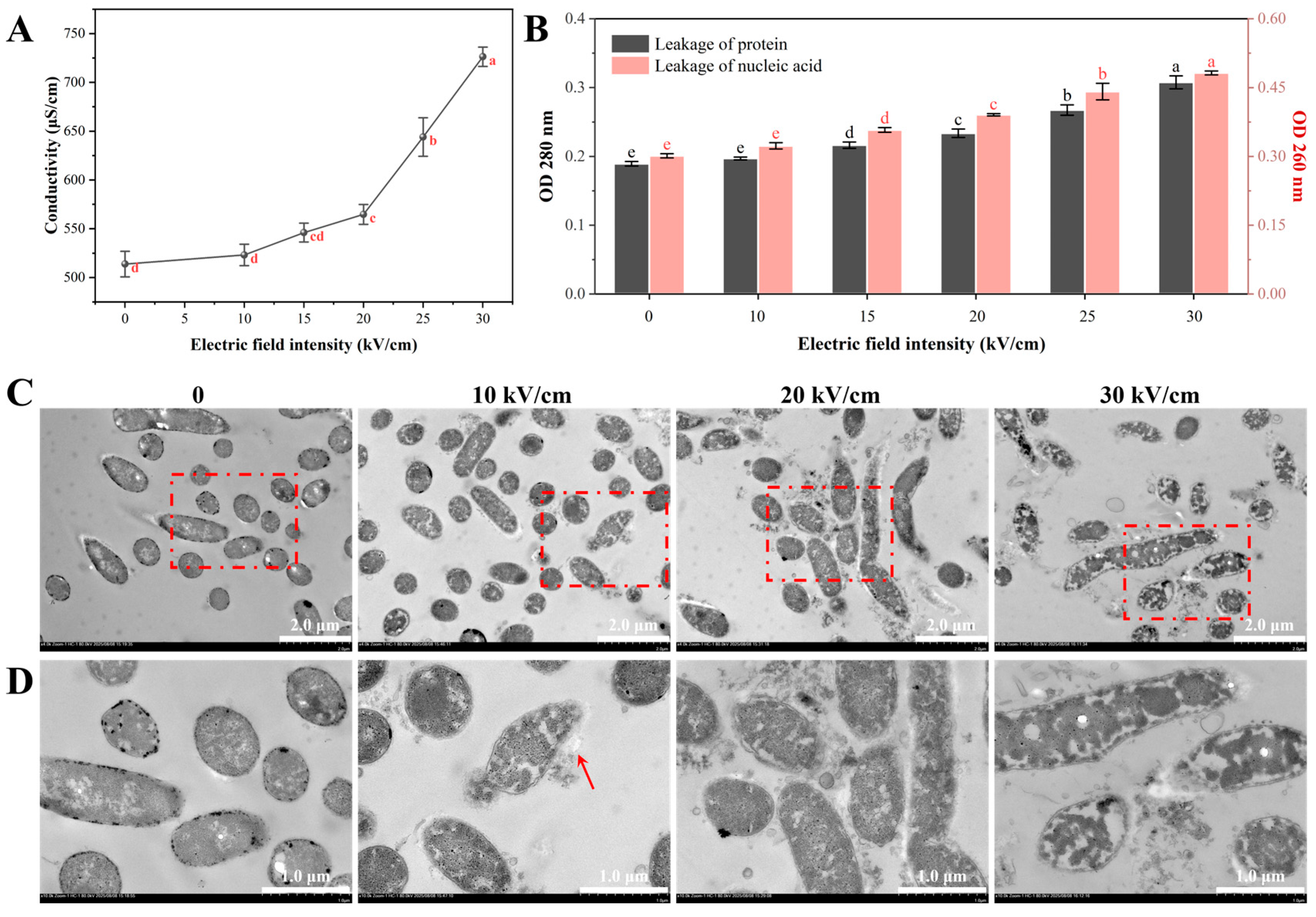 Pulsed Electric Field Inactivation of Acetobacter aceti: Mechanisms and ...