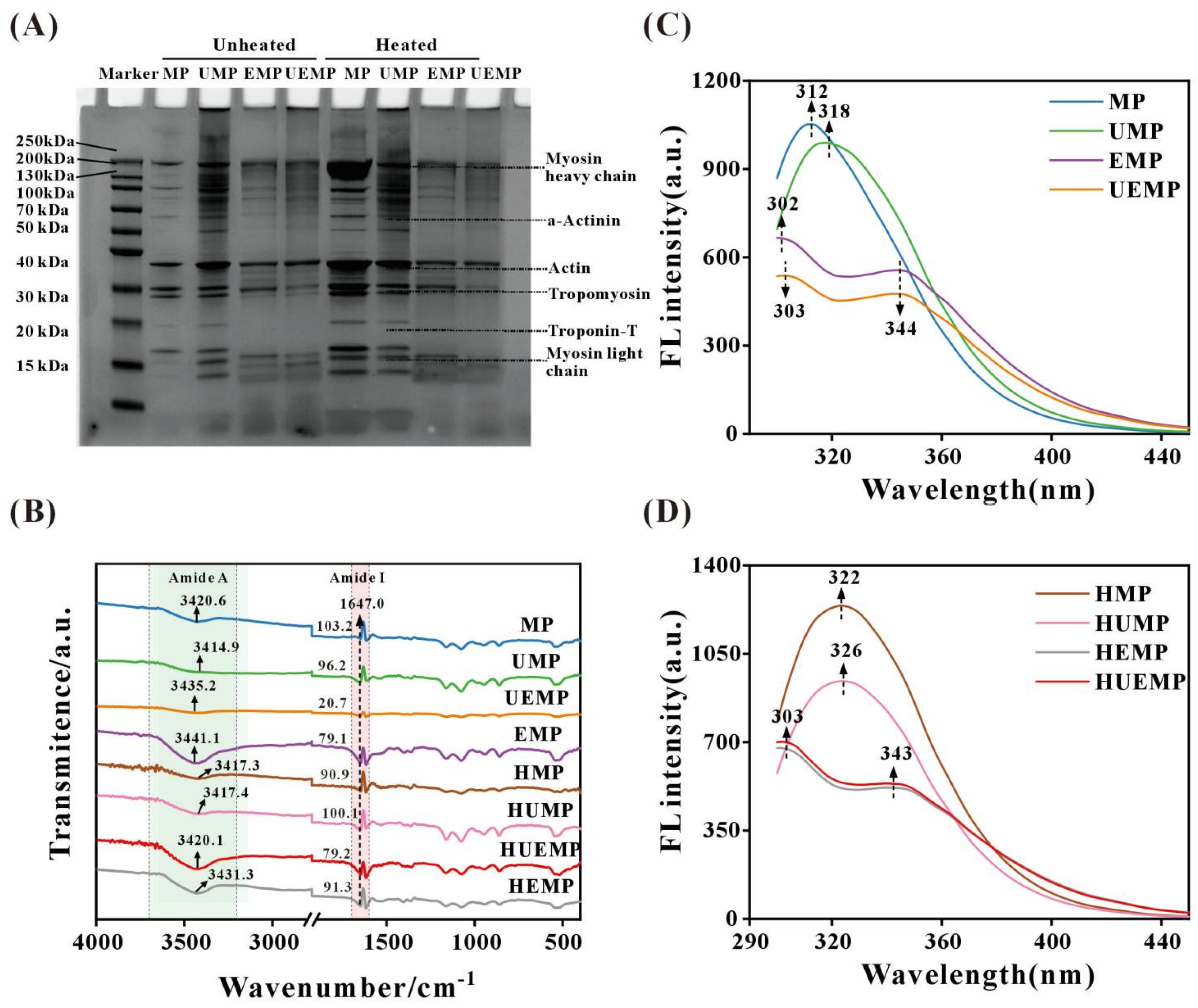 Effects of Ultrasonic-Assisted Enzymatic Treatment on the Solubility ...