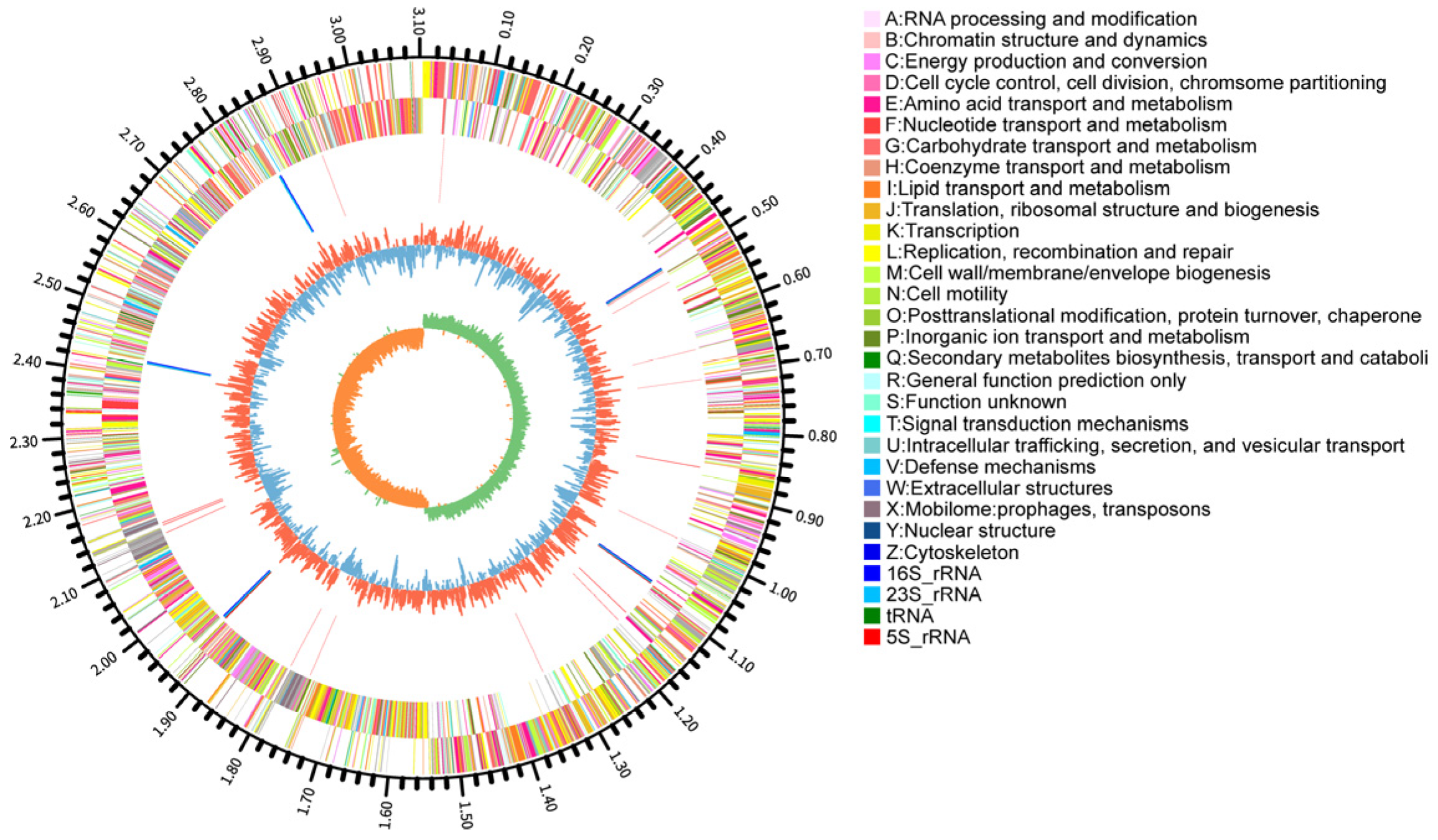 Phenotypic Characterization and Genomic Mining of Uric Acid Catabolism ...
