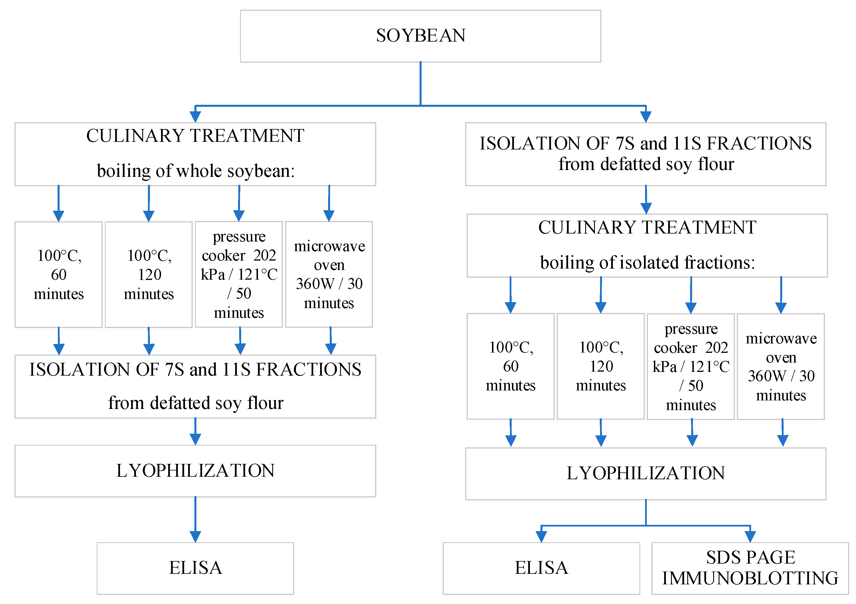 Impact of Culinary Treatments on the Immunoreactivity of Soy Protein ...
