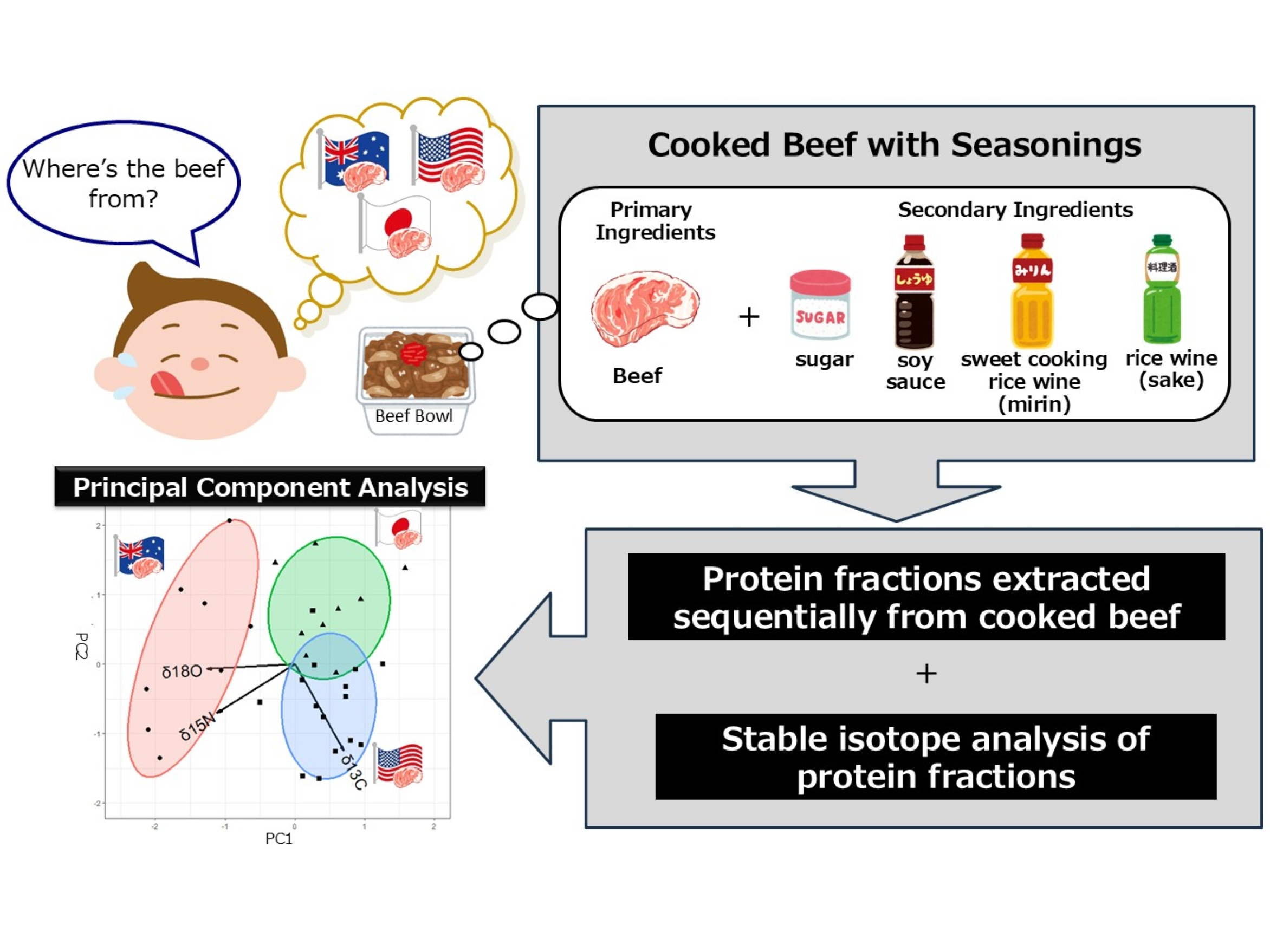 Effects of Seasonings on the Stable Isotope Analysis of Protein ...
