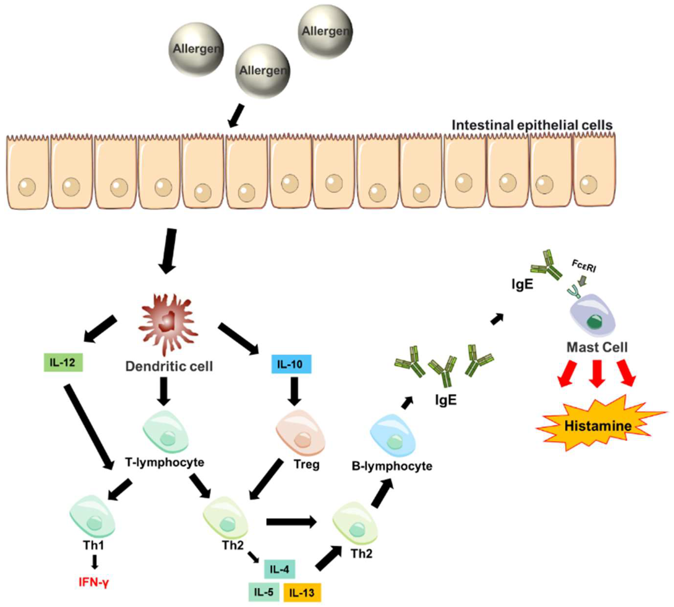 Sustainable Emerging Proteins: Allergenic Proteins in Edible Insects ...