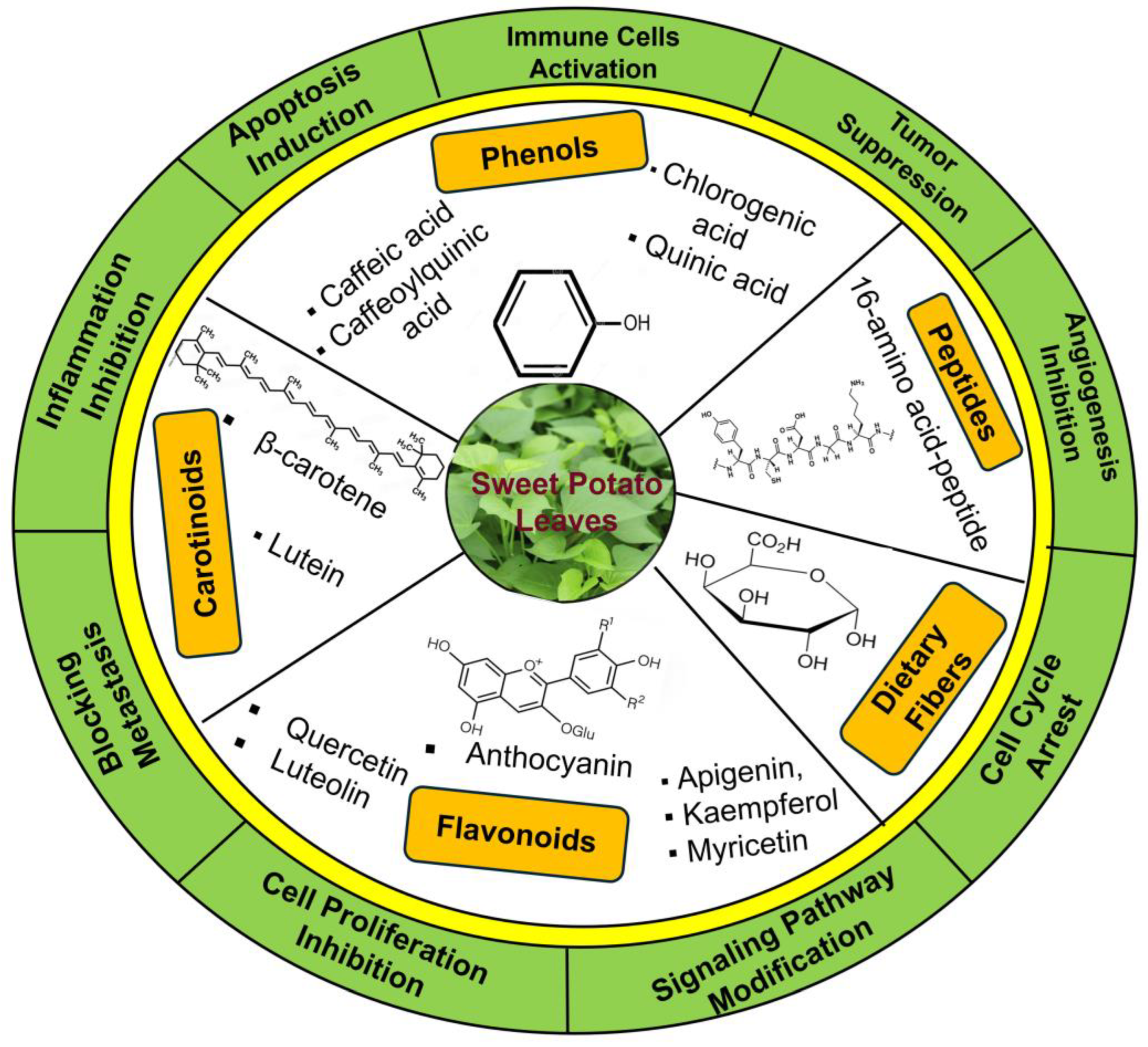 Anticancer Mechanisms of Bioactive Compounds from Sweet Potato (Ipomoea ...