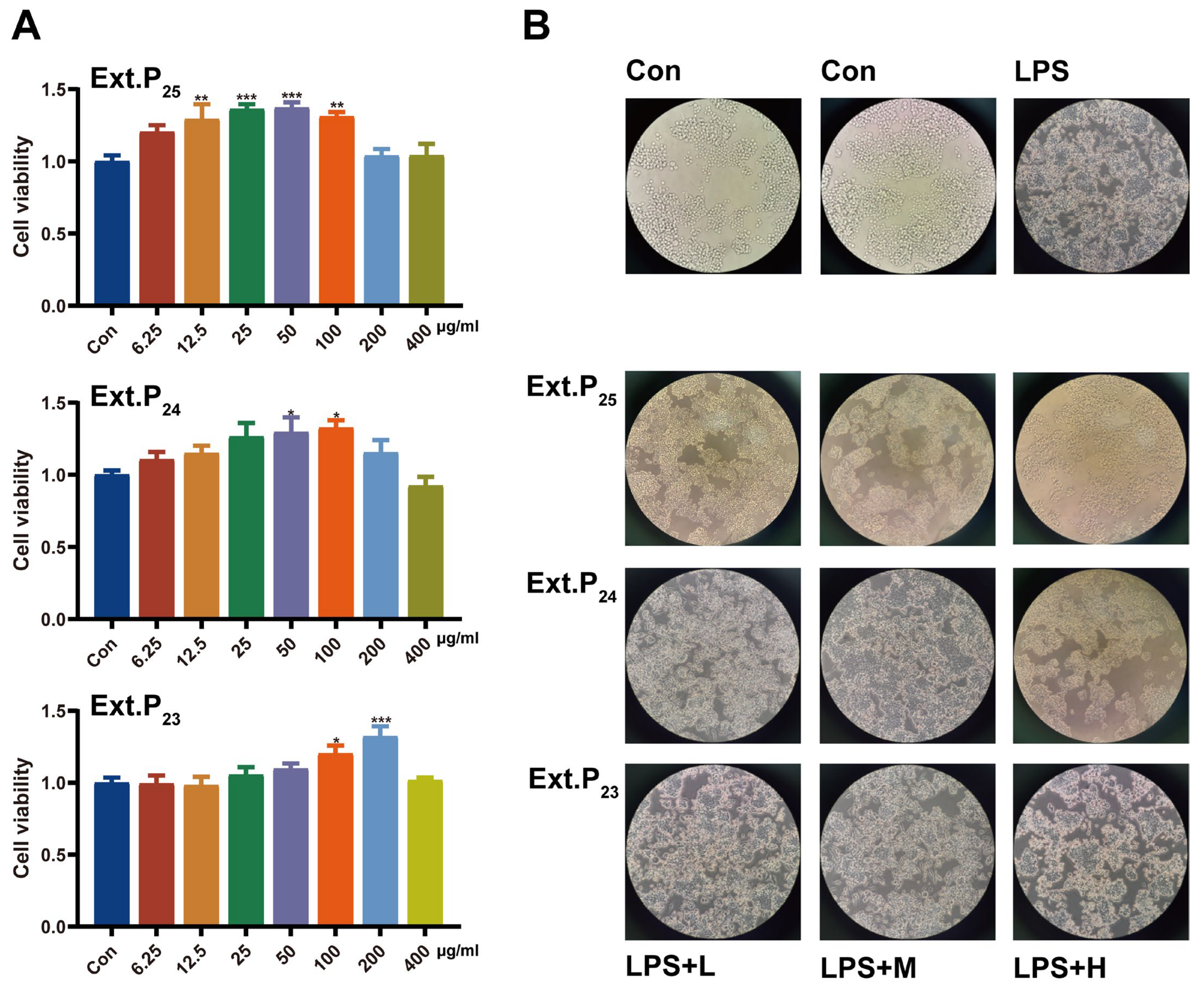 Investigation and Rapid Determination of Storage-Induced ...