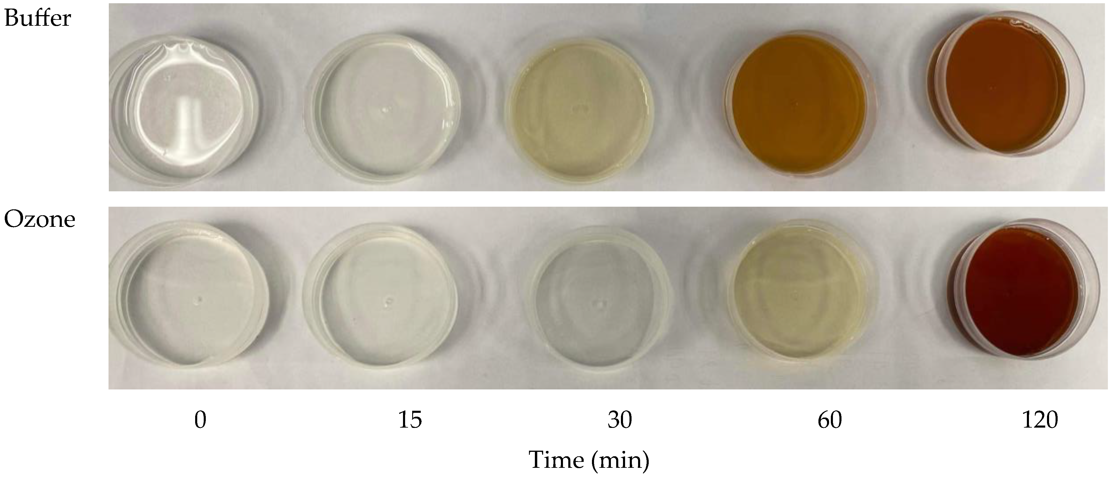 Ozonized Water-Mediated Maillard Reaction of Fructose-Glycine ...