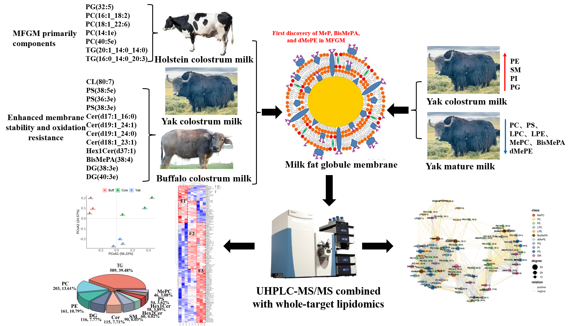 Characterization of Milk Fat Globule Membrane Phospholipids in ...