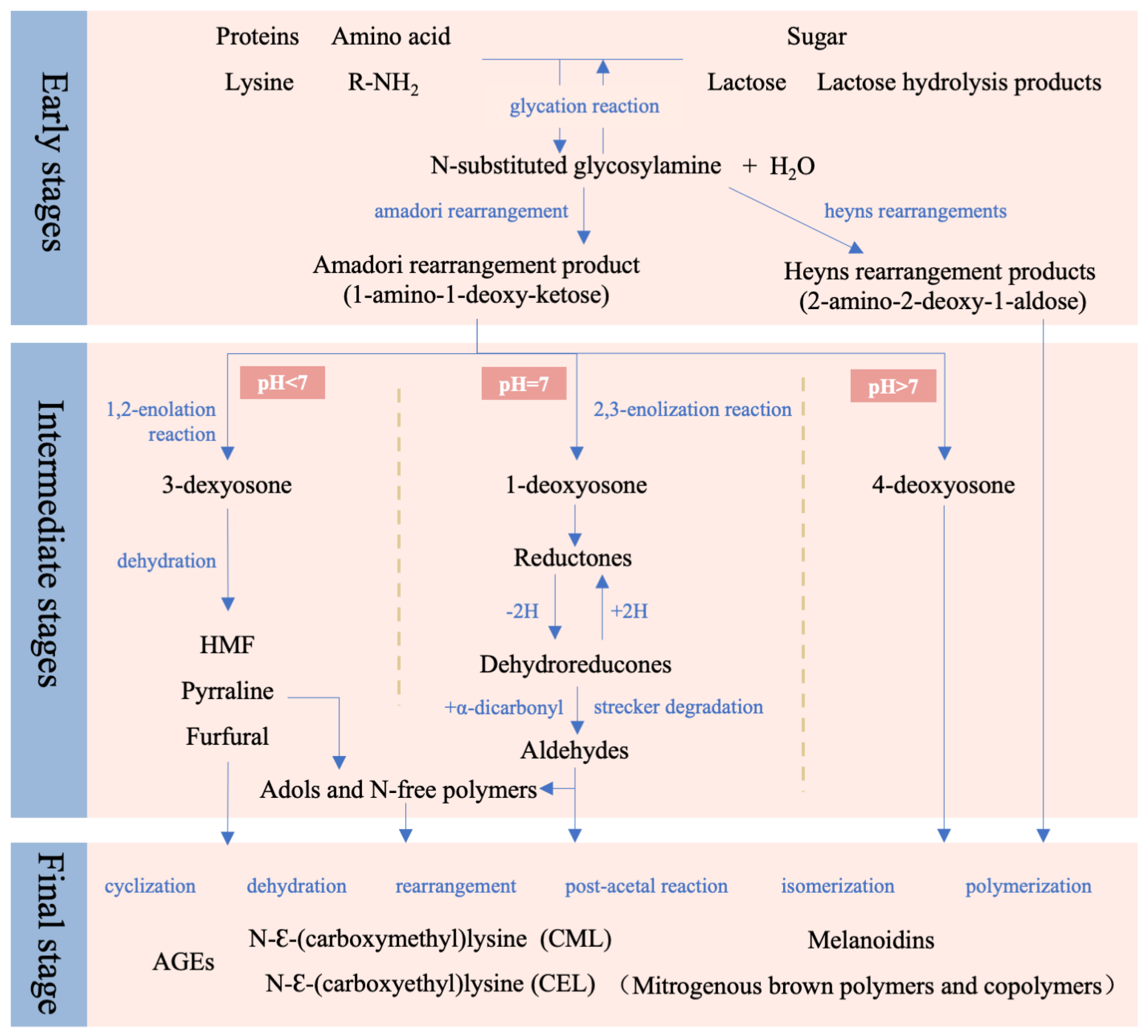Antioxidant Activity of Maillard Reaction Products in Dairy Products ...