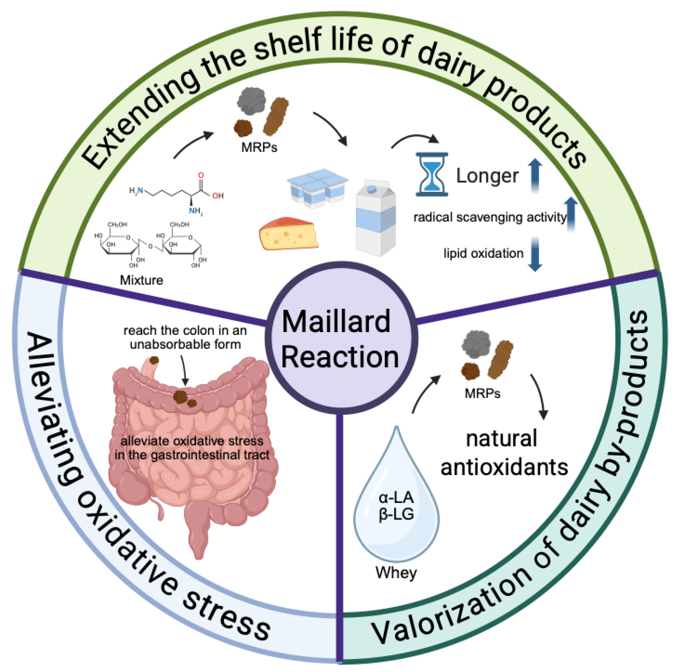 Antioxidant Activity of Maillard Reaction Products in Dairy Products ...