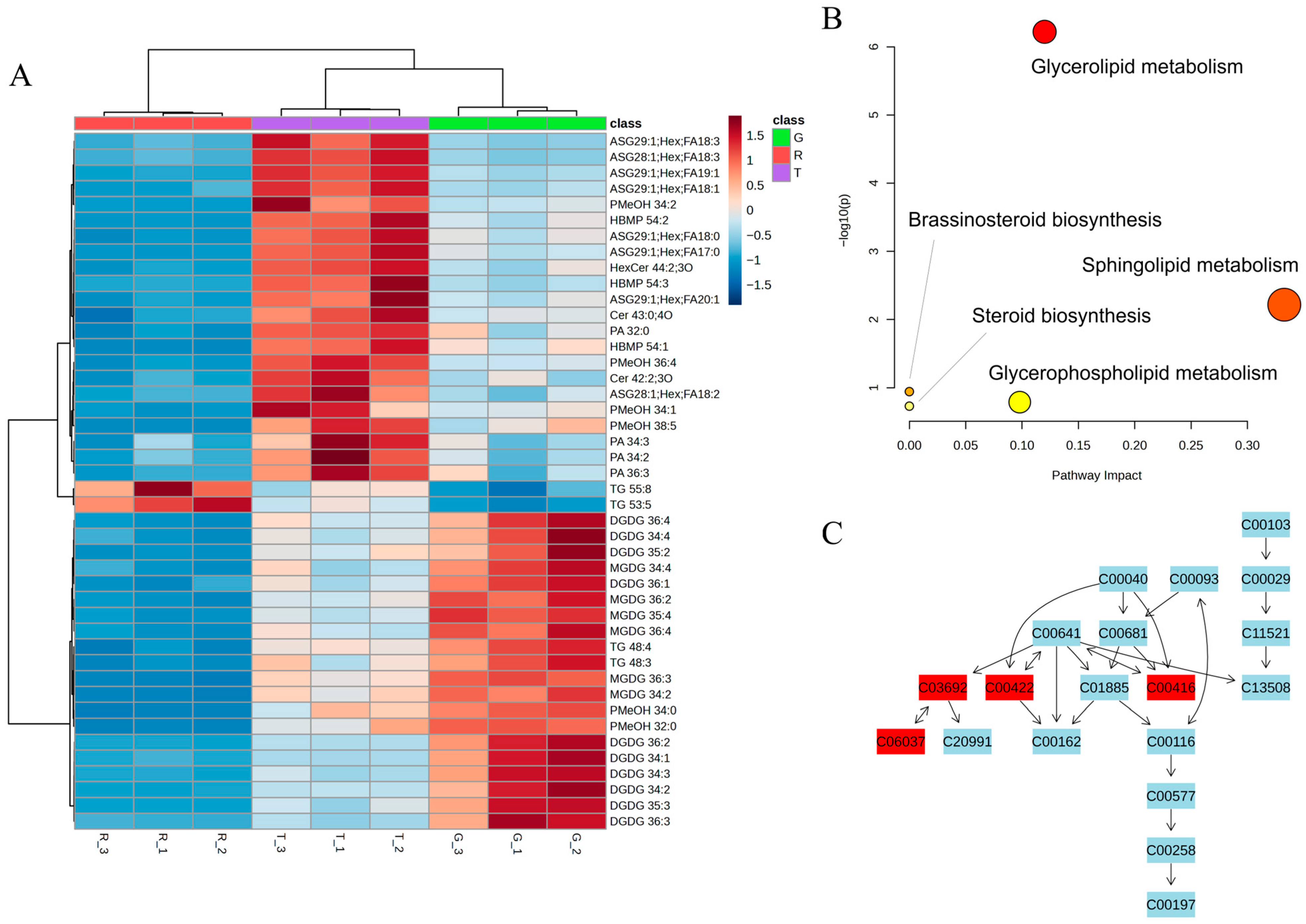 Comparative Lipidomics Unveils Species-Specific Lipid Signatures in ...