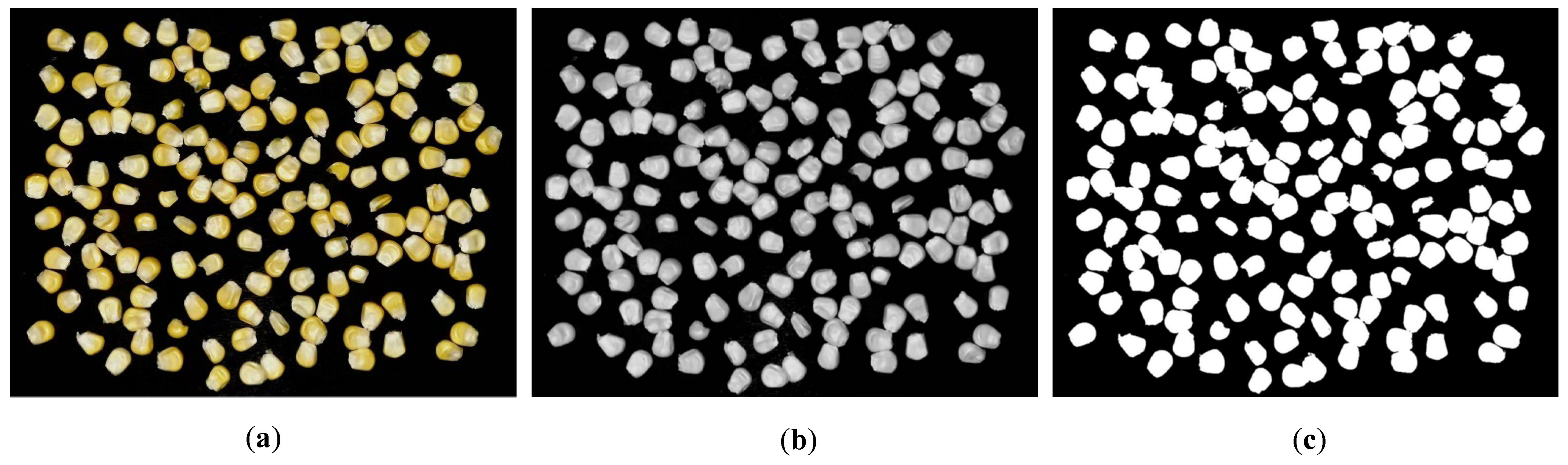 Corn Kernel Segmentation and Damage Detection Using a Hybrid Watershed ...
