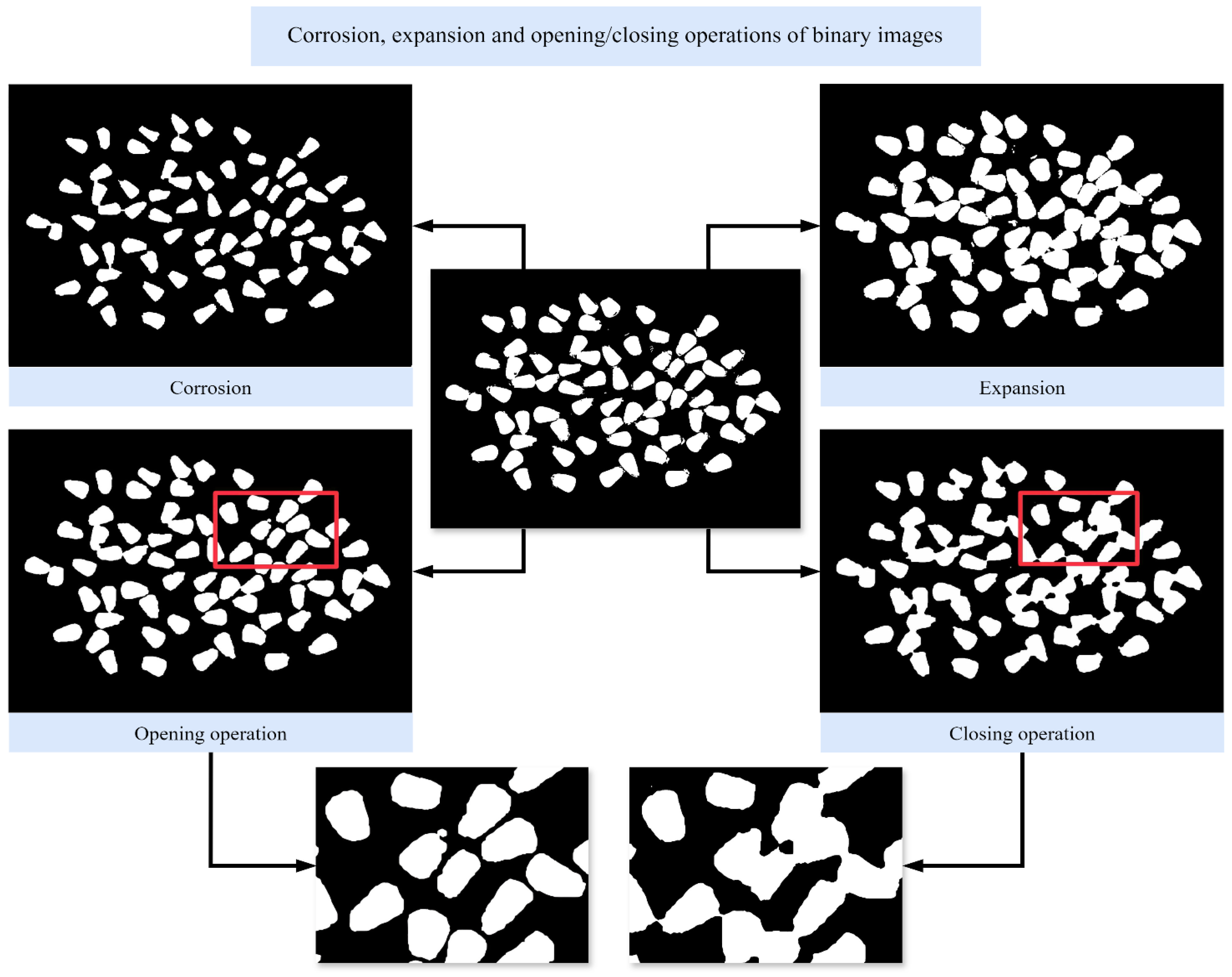Corn Kernel Segmentation and Damage Detection Using a Hybrid Watershed ...