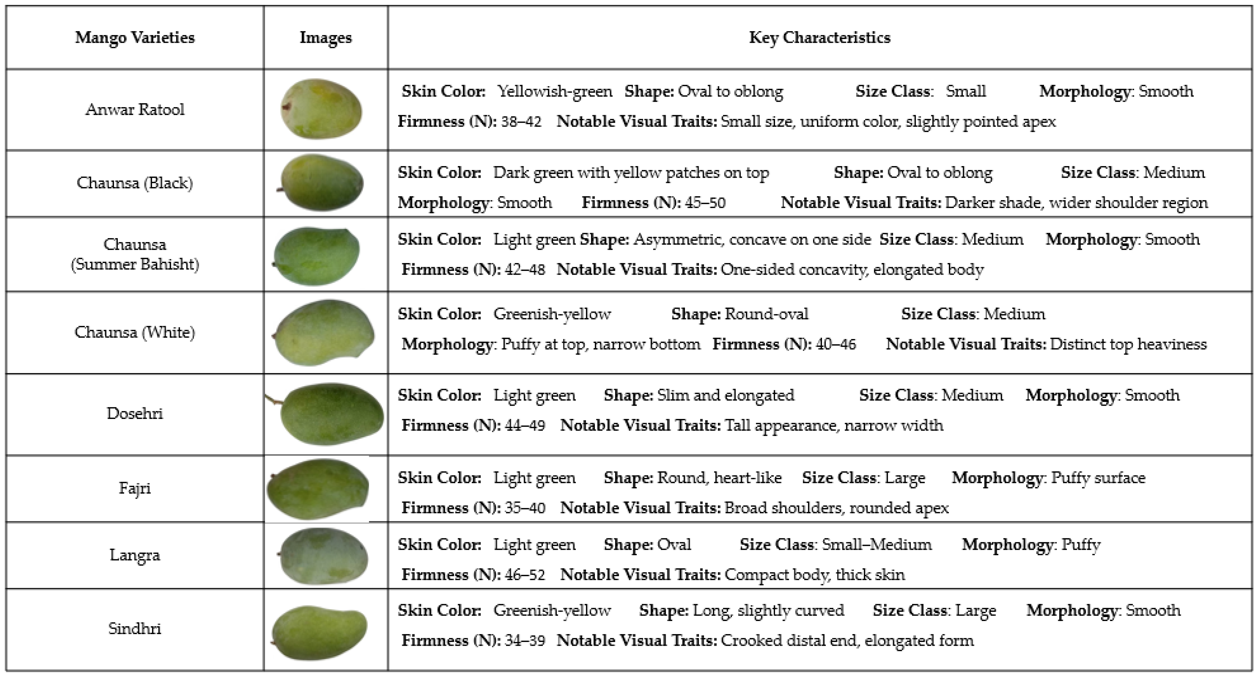 Automated Mango Variety Classification Using Deep Feature Extraction and Machine Learning ...