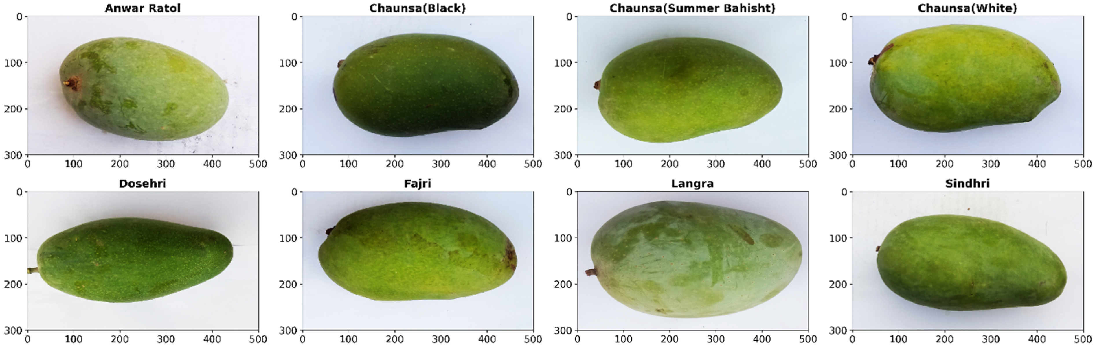 Automated Mango Variety Classification Using Deep Feature Extraction and Machine Learning ...