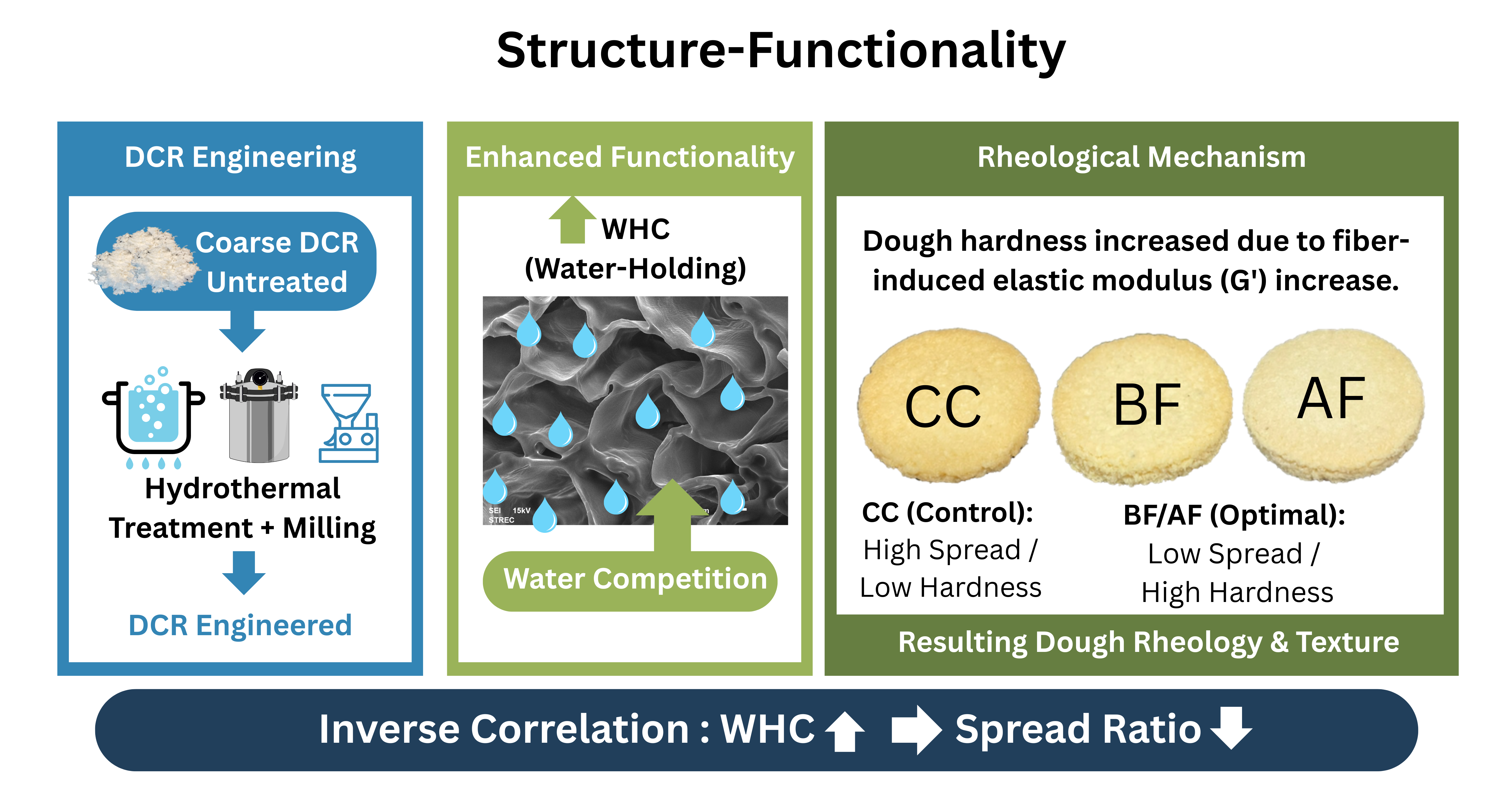 Hydrothermally Modified Defatted Coconut Fiber as a Functional Fat ...
