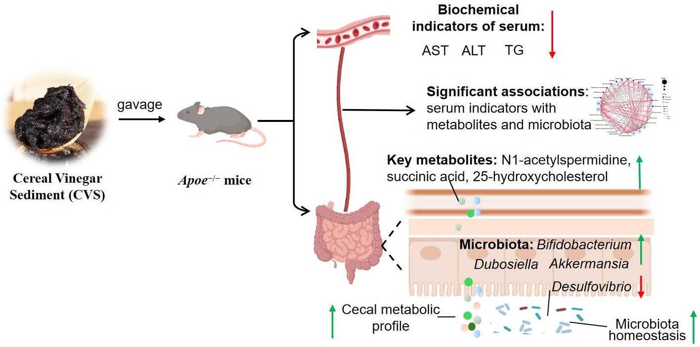 Cereal Vinegar Sediment Modulates the Gut Microbiota–Metabolite Axis ...