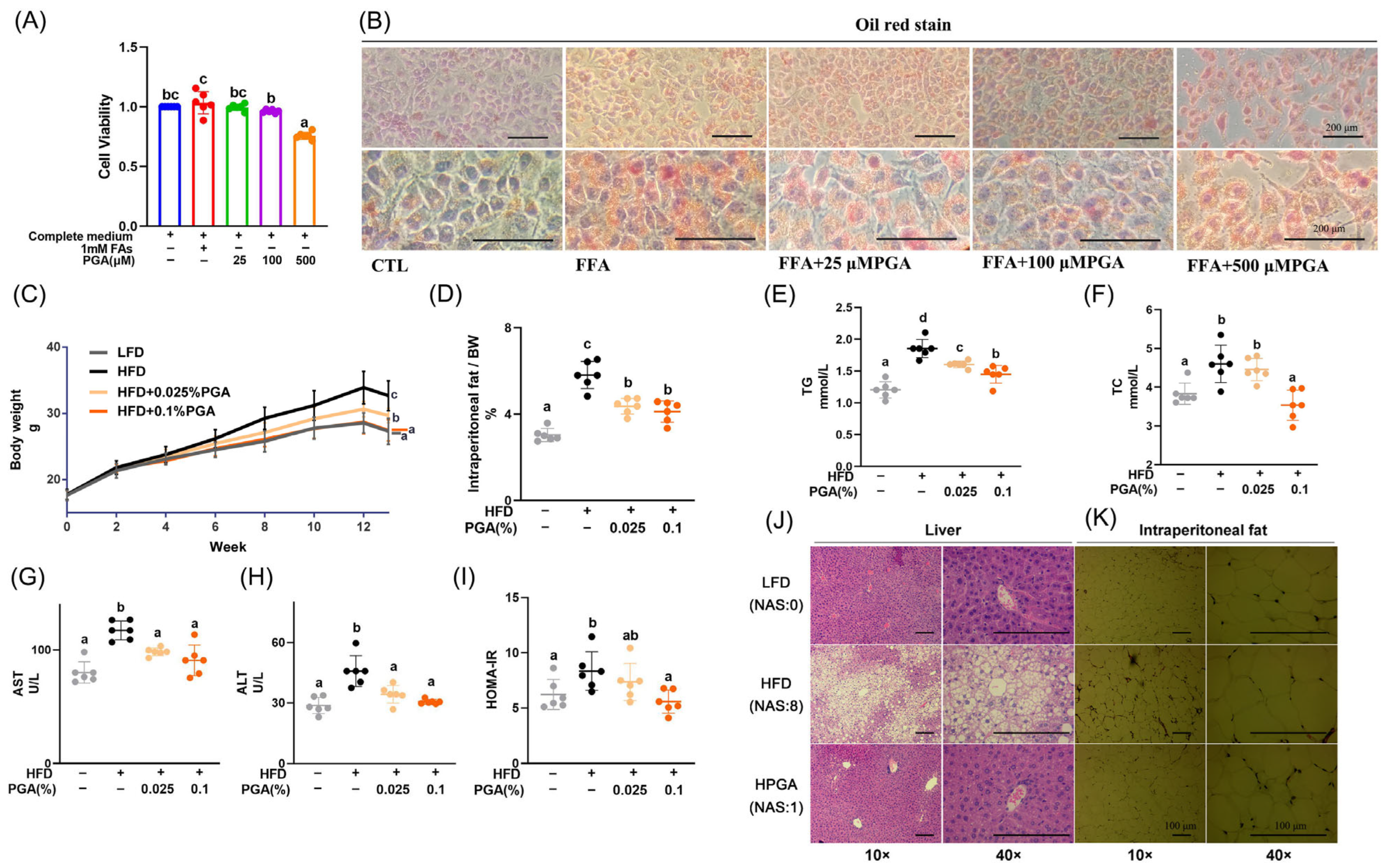 Phloroglucinaldehyde Alleviates High-Fat-Diet-Induced MAFLD via Its ...