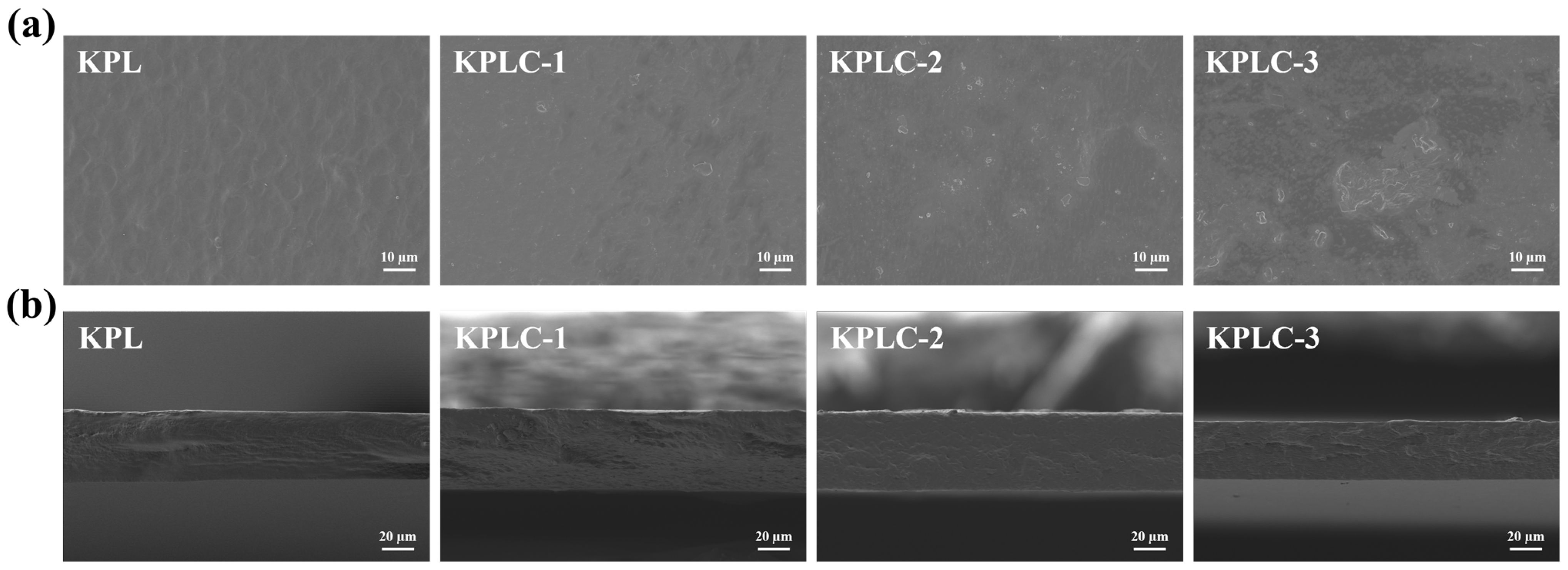 A Konjac Glucomannan-Based Antibacterial Packaging Film with Humidity ...