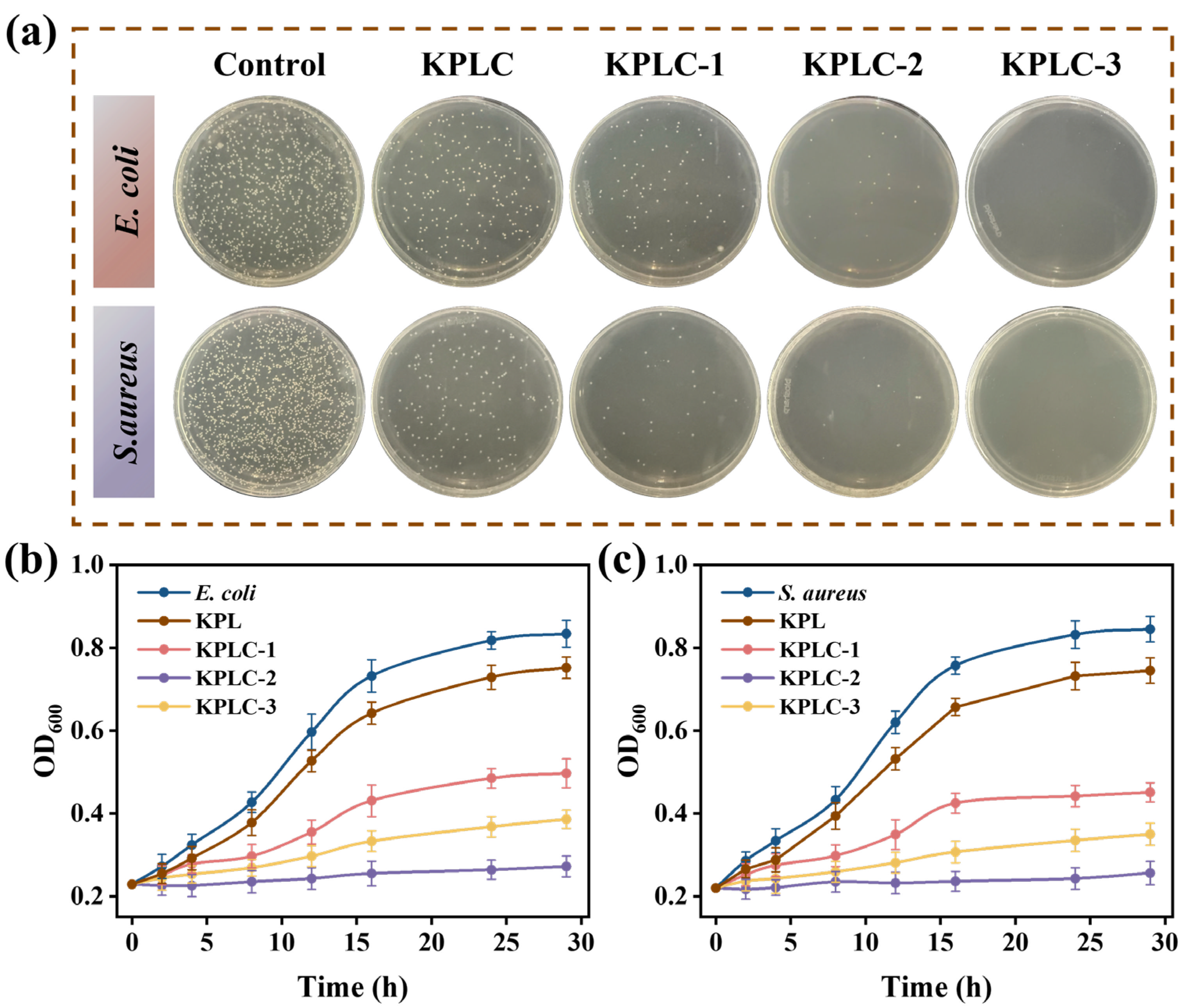 A Konjac Glucomannan-Based Antibacterial Packaging Film with Humidity ...