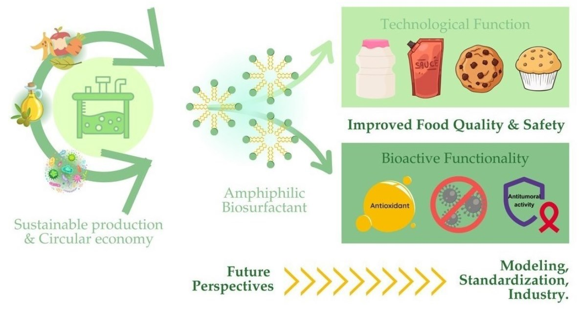Biosurfactants in Food: Advances, Innovative Applications and ...