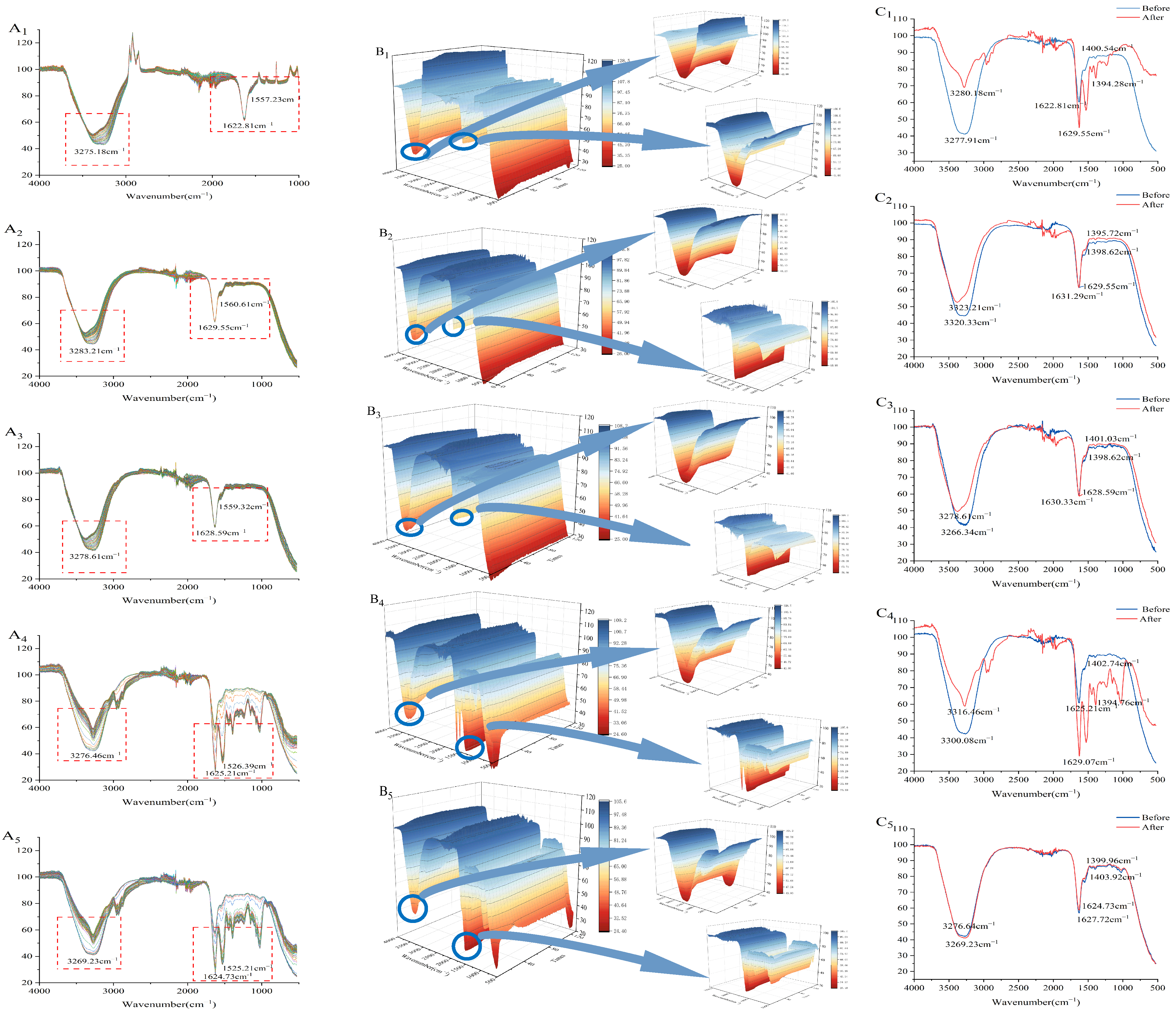 Characterization of the Hydrogel-Binding Mechanism of Phellinus linteus ...