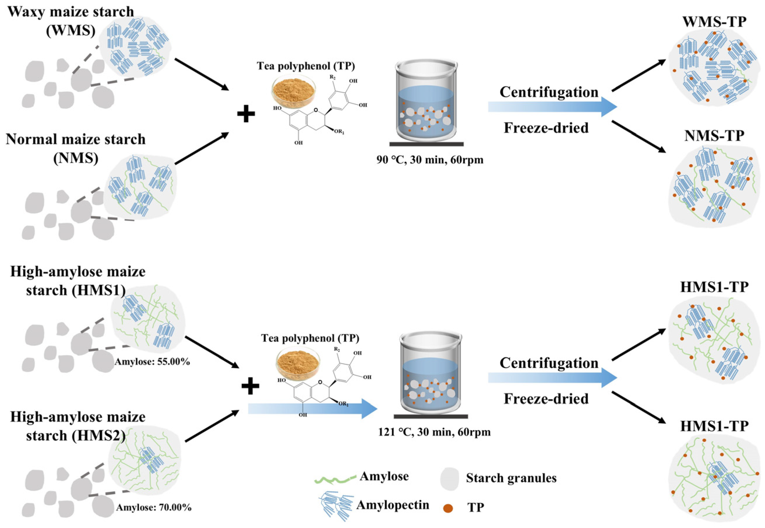 Modulating the Physicochemical Properties and Internal Structure of ...