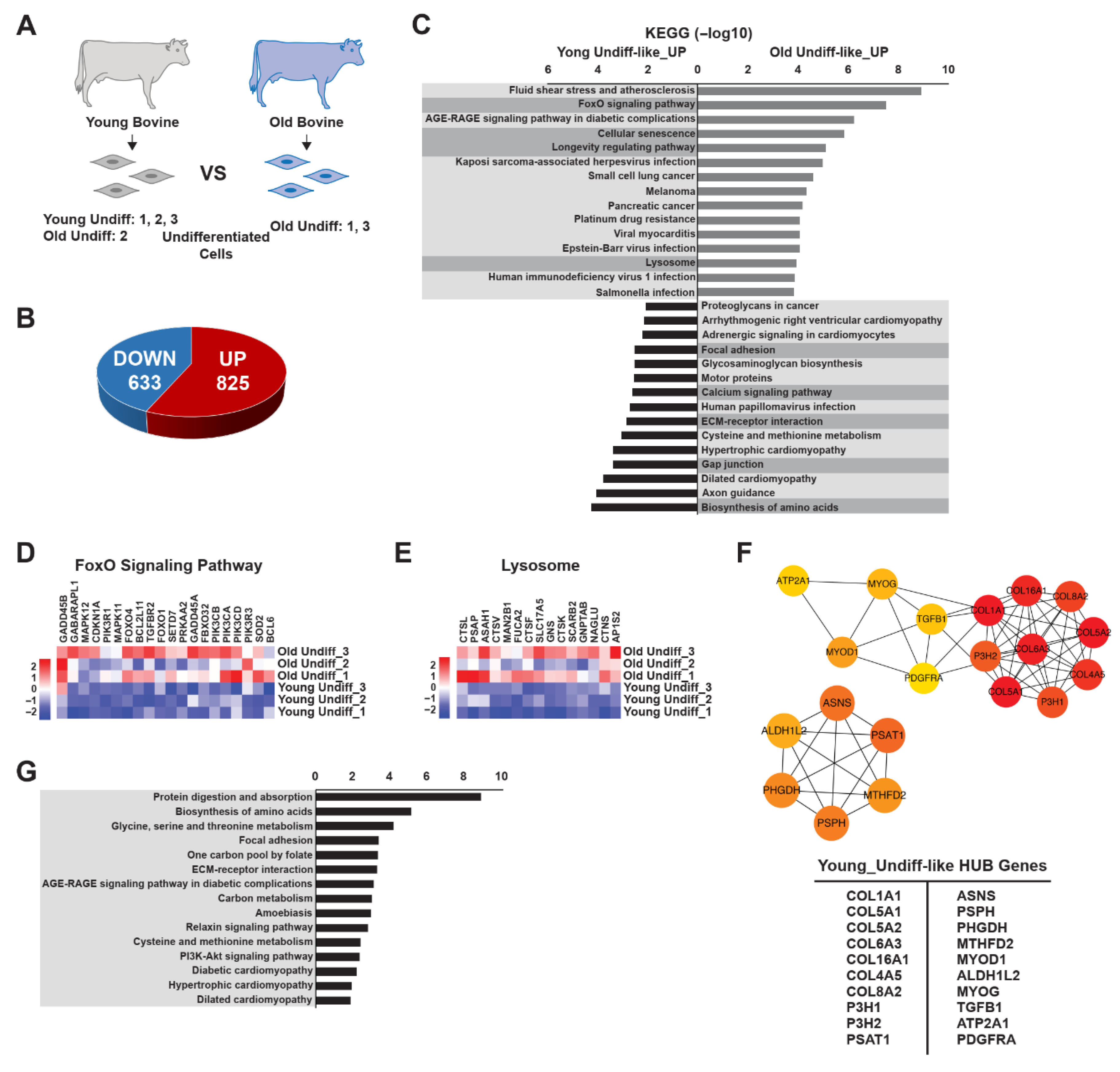 The Transcriptomic Landscape and Regulatory Signaling Features of ...