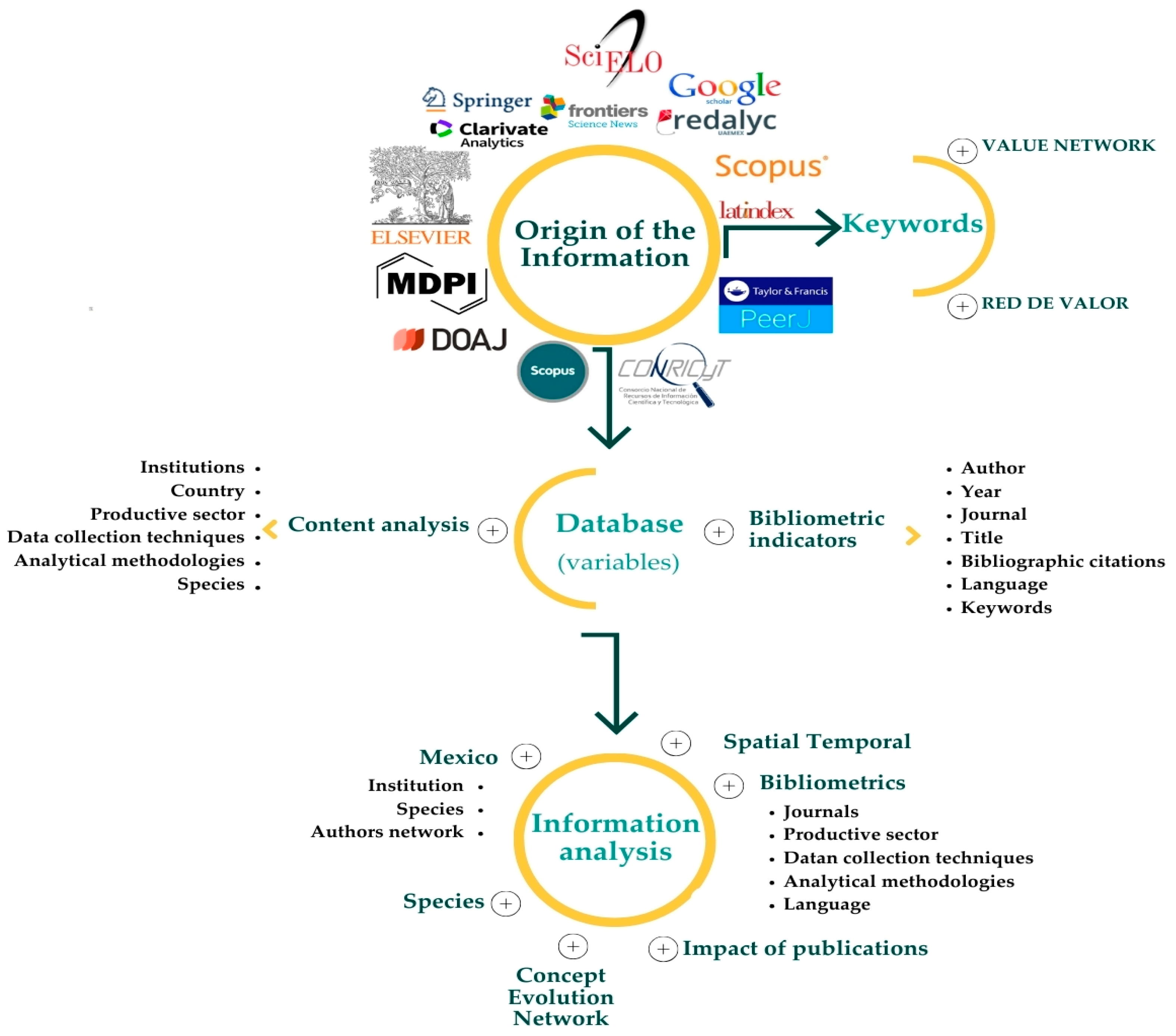 Spatial–Temporal Analysis of Value Network Approach Application in Food ...