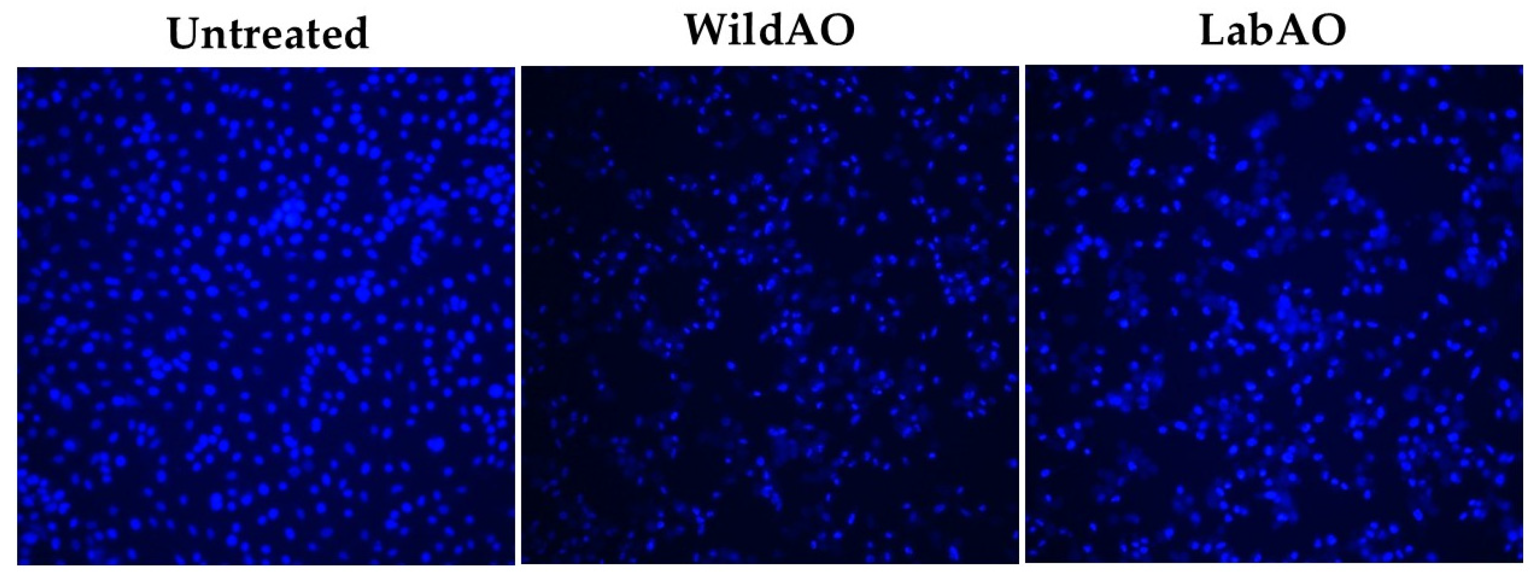 Comparative Metabolite Profiling and Antiproliferative Characterization ...