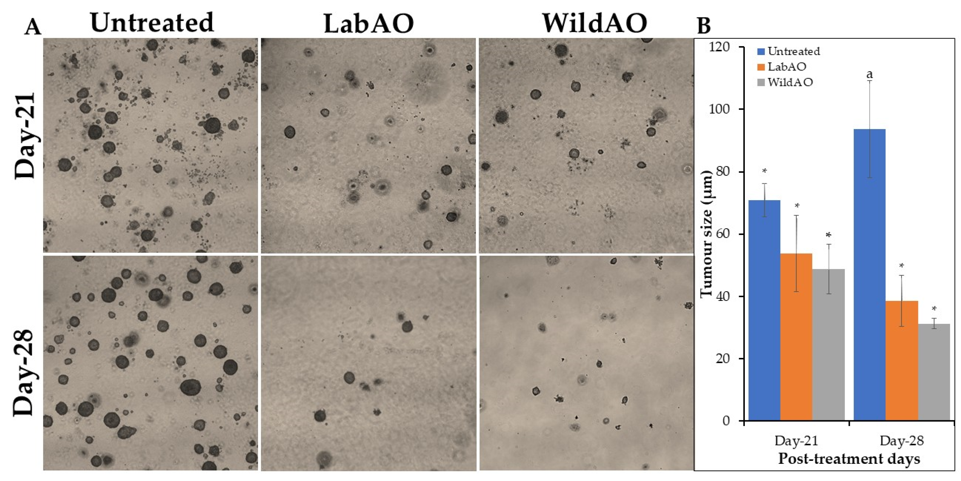 Comparative Metabolite Profiling and Antiproliferative Characterization ...