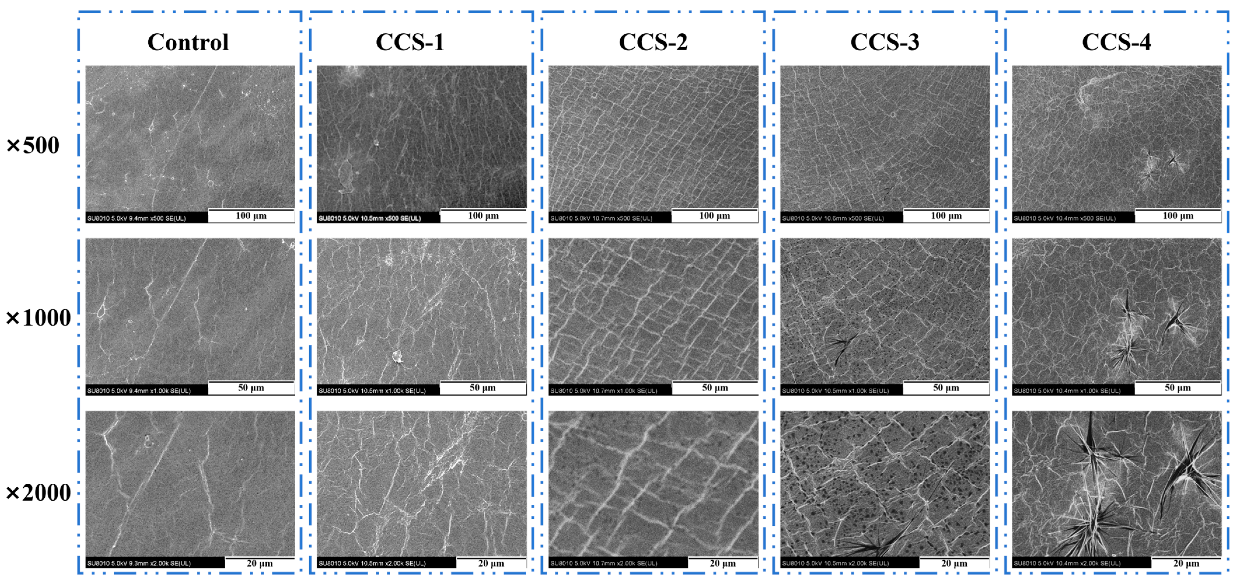 Cinnamaldehyde/β-Cyclodextrin Inclusion Complex Enhances ...