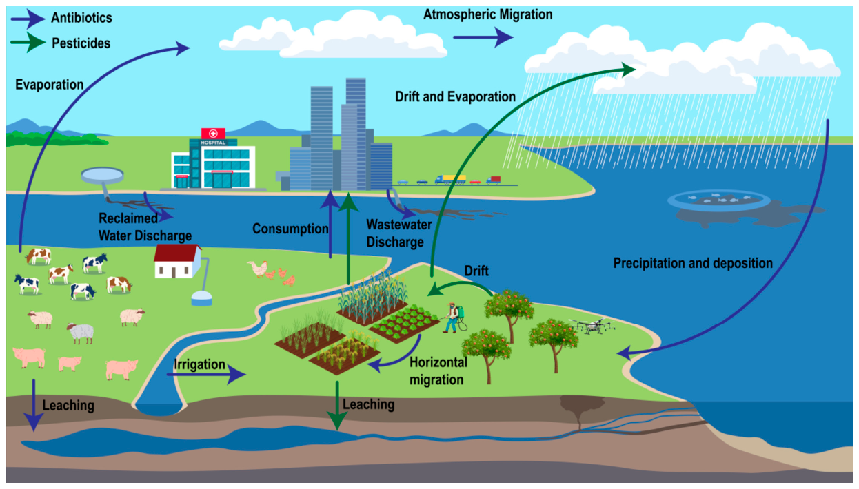 An Integrated Review of Pesticides and Antibiotics in Agricultural ...