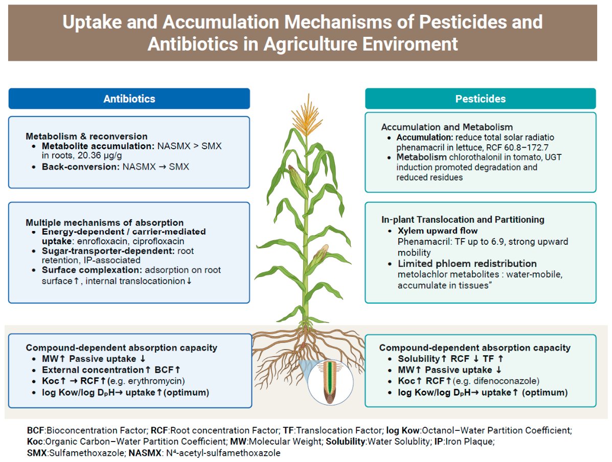 An Integrated Review of Pesticides and Antibiotics in Agricultural ...