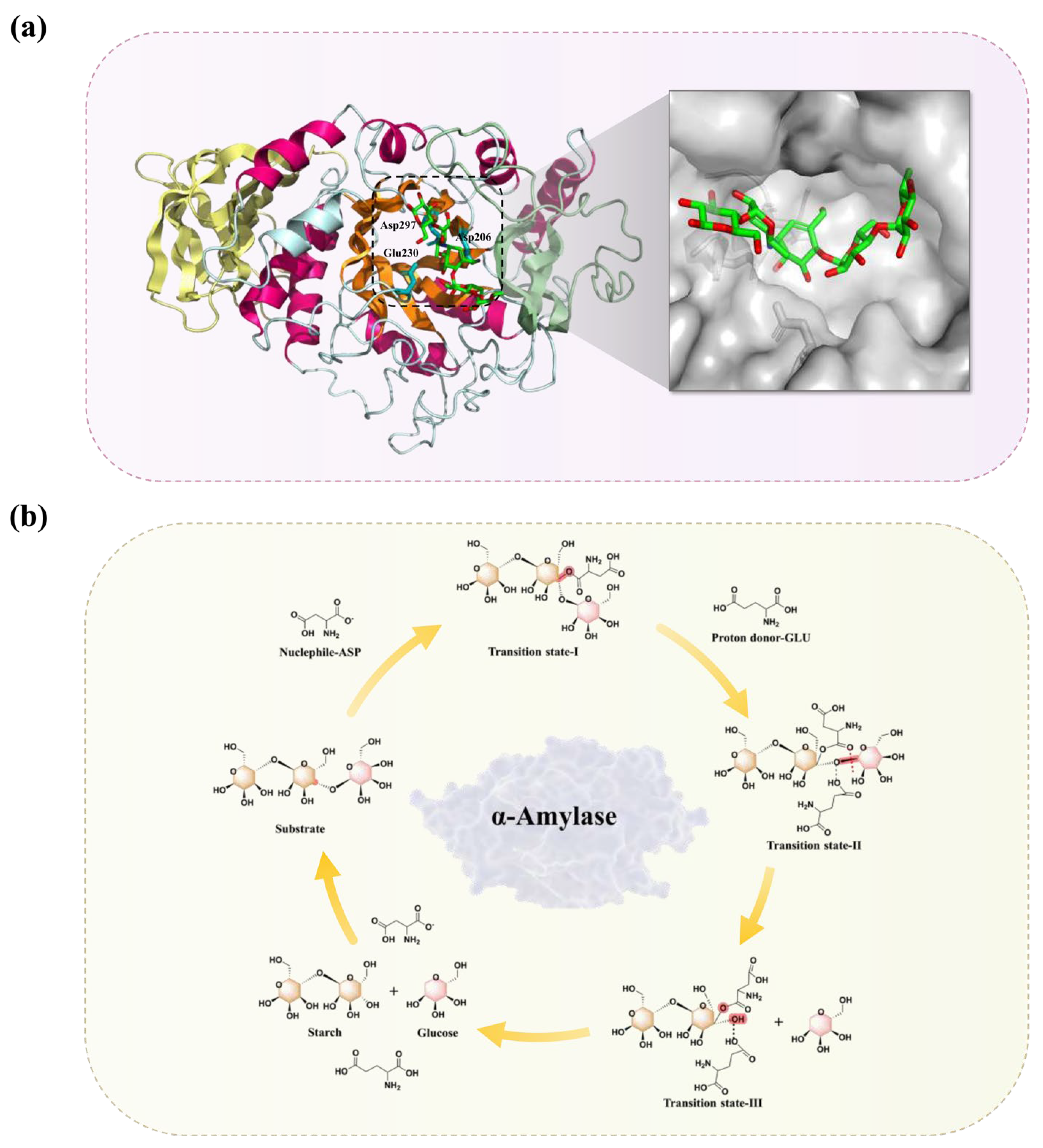 α-Amylase: Its Structure, Molecular Modification, and Application in ...