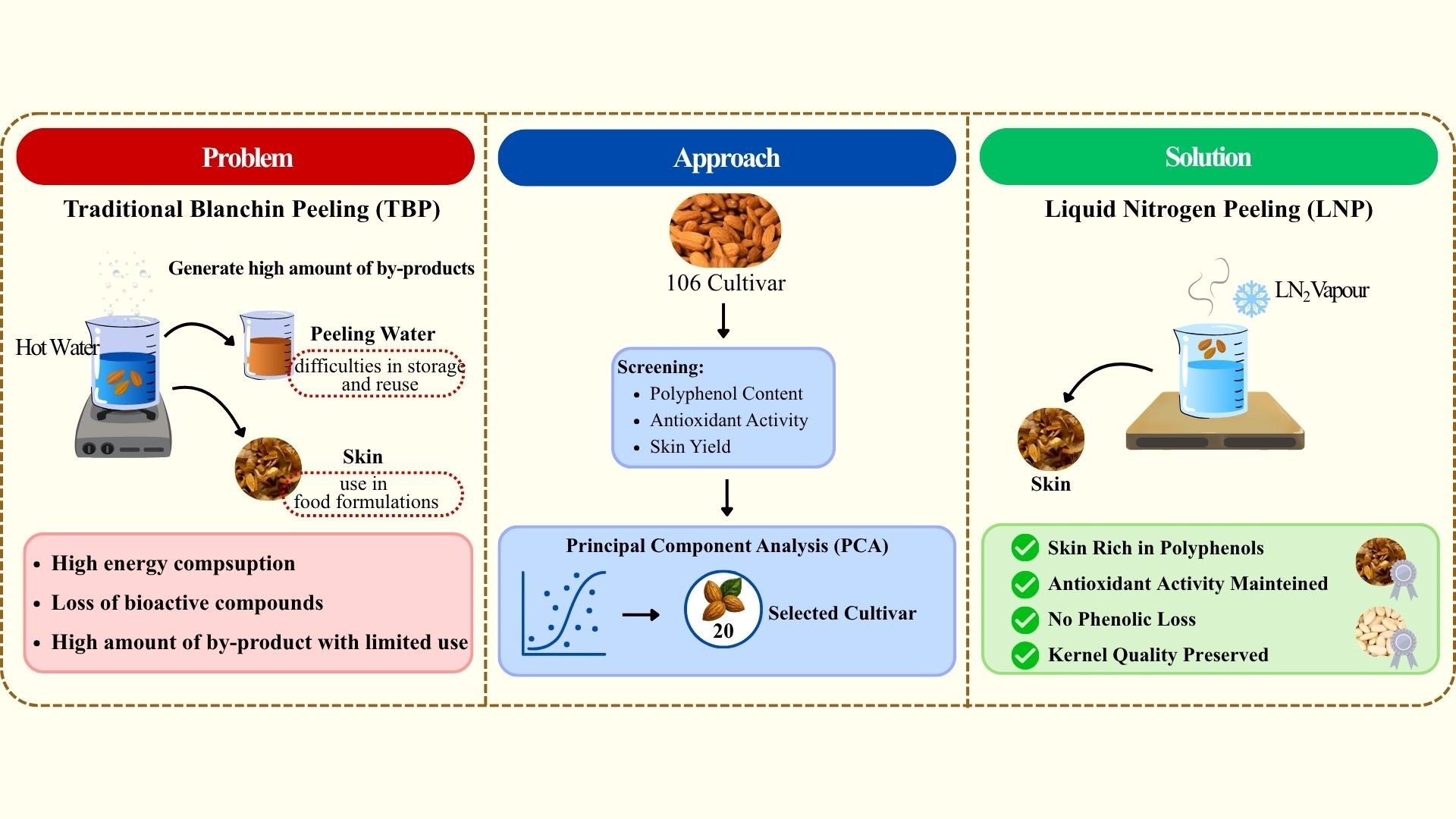 Screening of Almond Germplasm for Bioactive-Rich Skin Recovery and ...